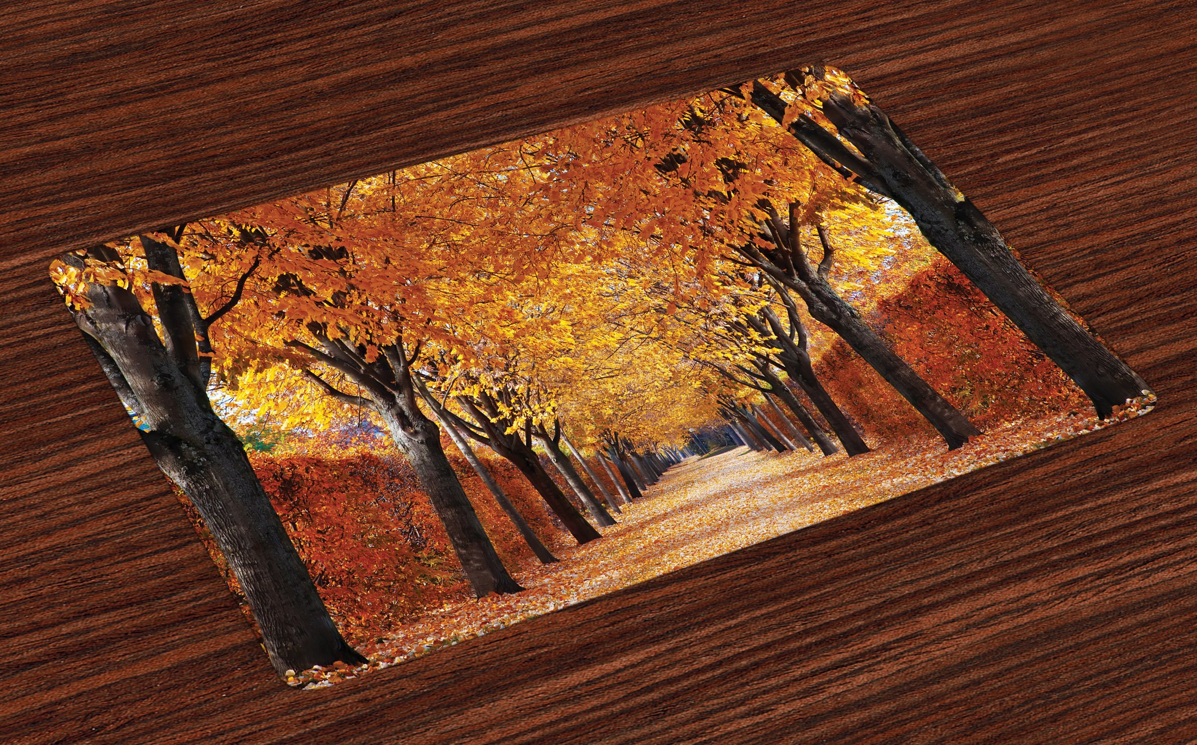 Amazon.com: Ambesonne Autumn Place Mats Set of 4, Pathway in The Woods ...