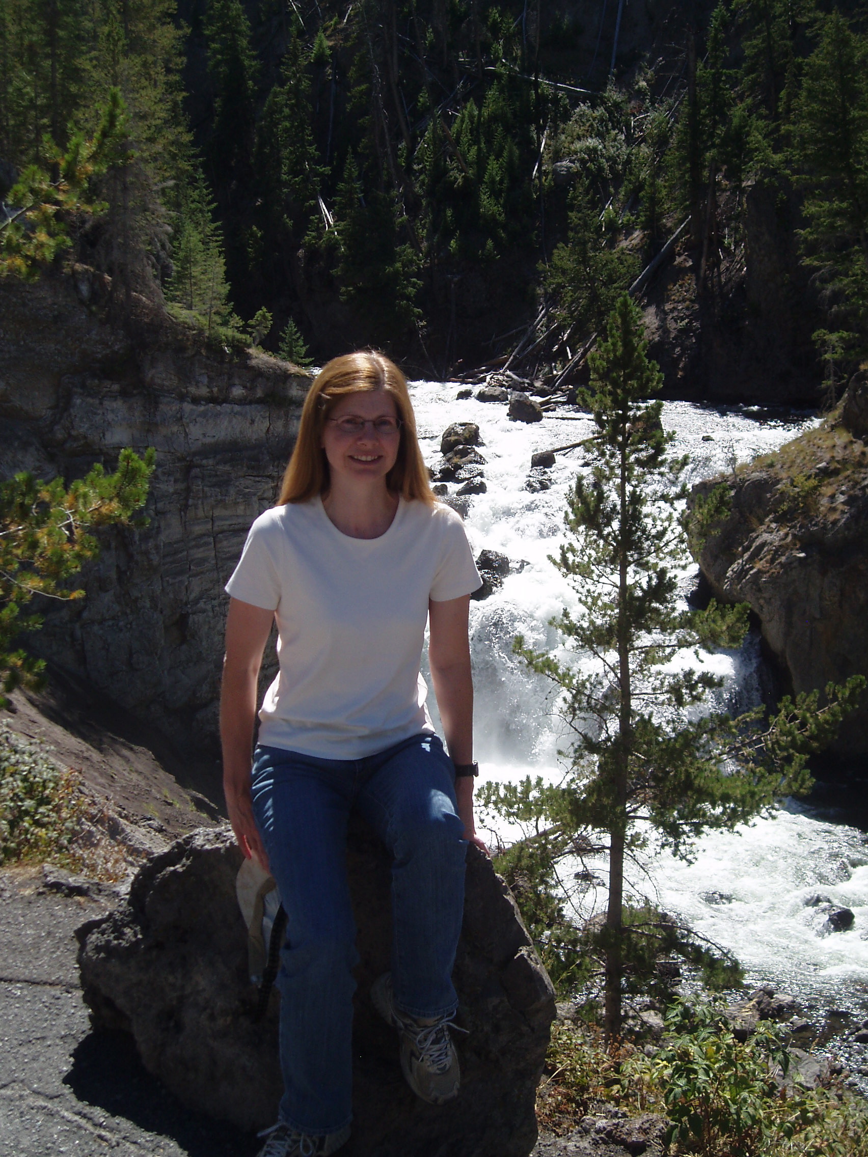 Amazon.co.uk: Susan Rundell Singer: books, biography, latest update