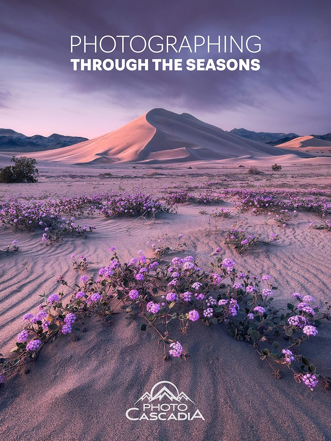 Photographing Through The Seasons: Best Places to Photograph Each ...