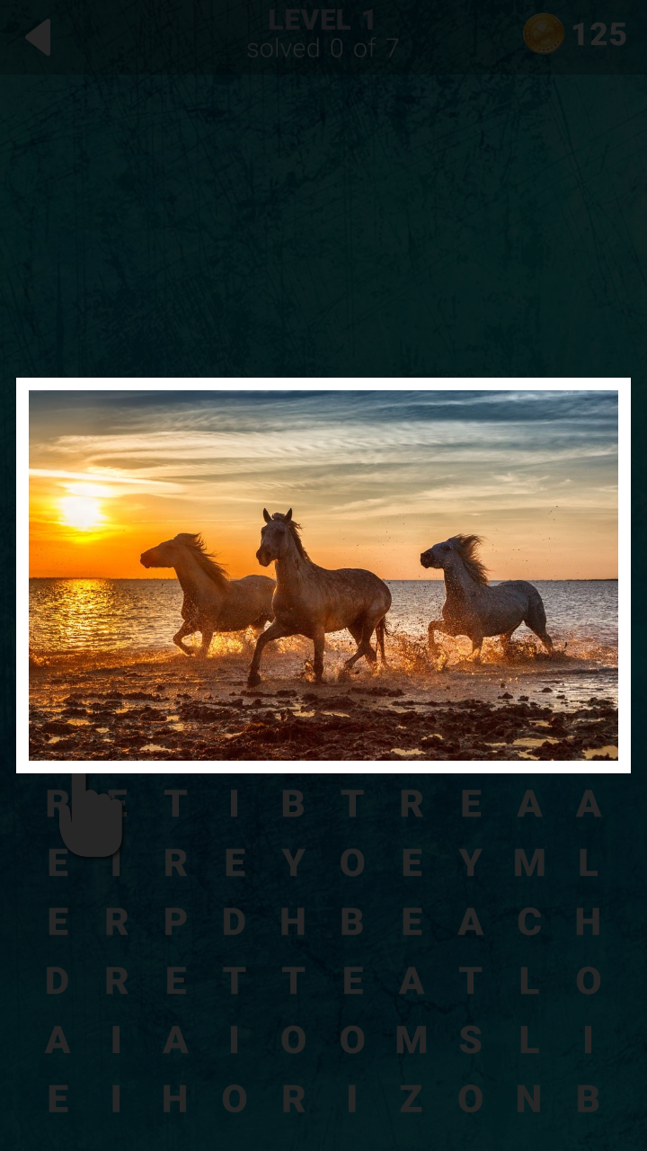 119 PWS Puzzles - App on Amazon Appstore