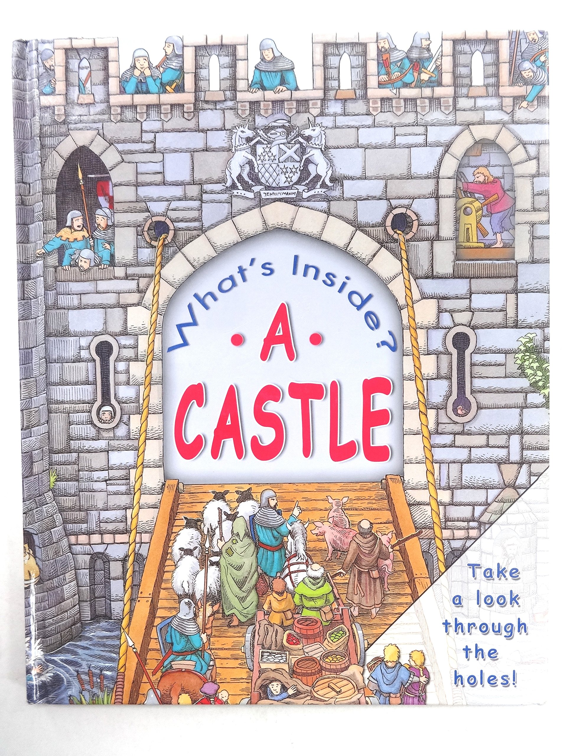 What's Inside a Castle (What's Inside): Lee, Brian: 9780760765685 ...