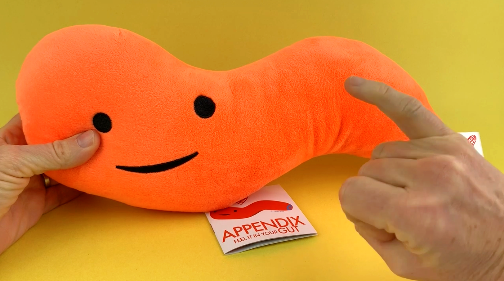 Watch Appendix Stuffed Plush Toy - Learn About Your Appendix With I ...