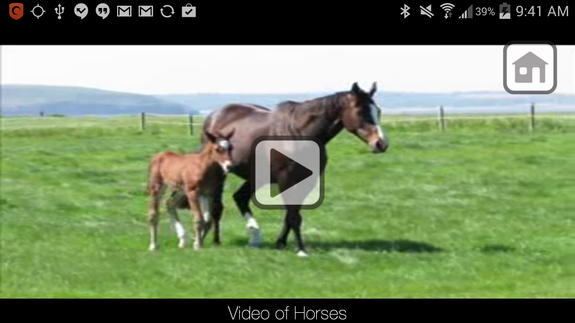 Free 100 Horses - App on Amazon Appstore