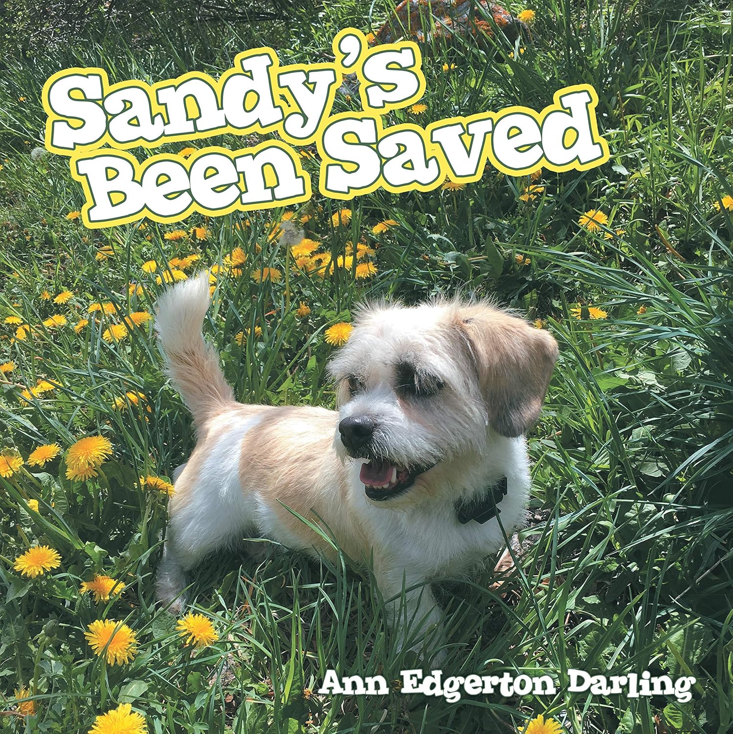 Sandy’s Been Saved - Kindle edition by Darling, Ann Edgerton. Children ...