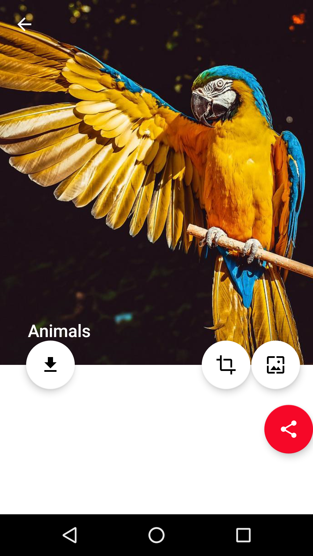 Wallpapers HD - App on Amazon Appstore