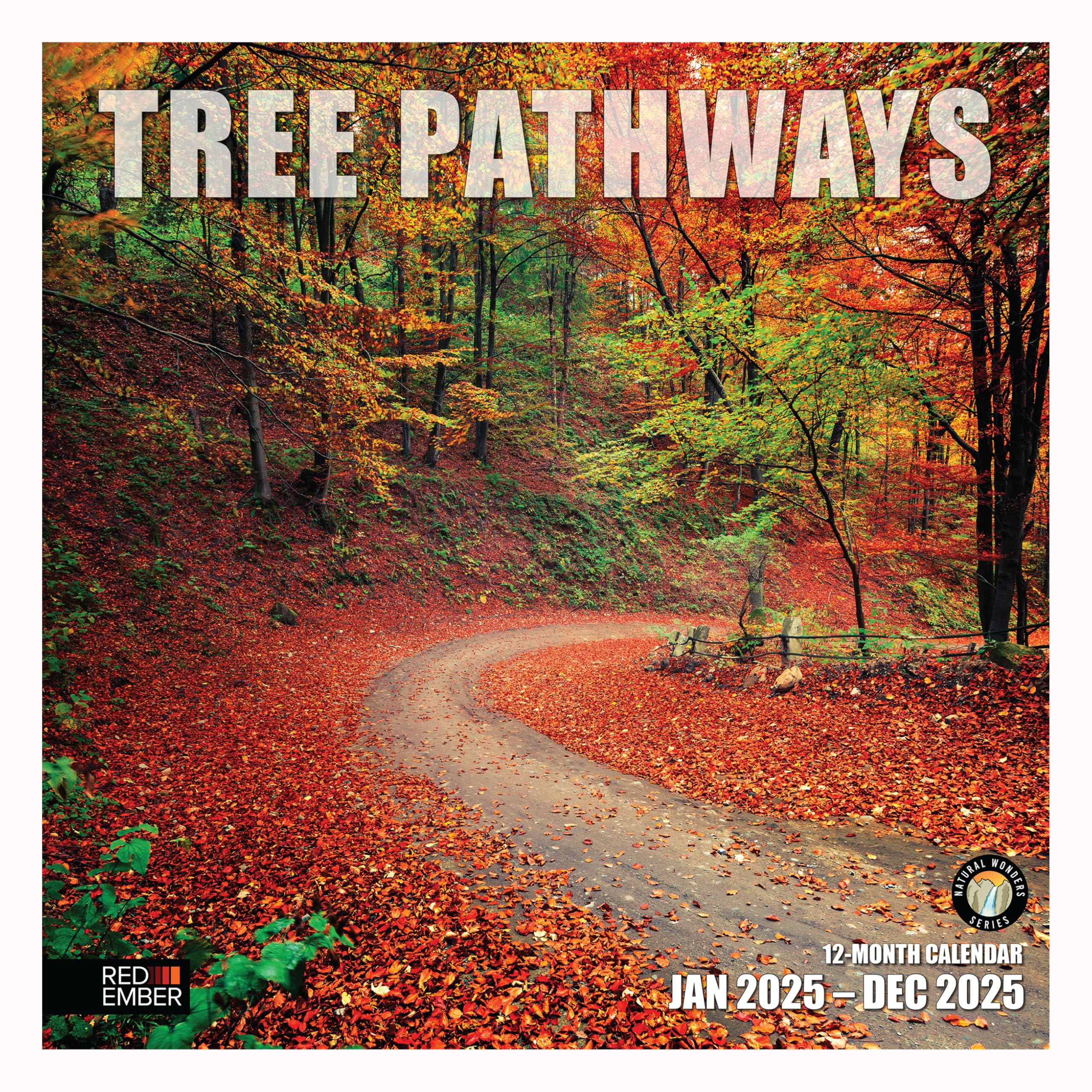 Amazon.com: RED EMBER Tree Pathways 2025 Wall Calendar 12 Month | 12" x ...