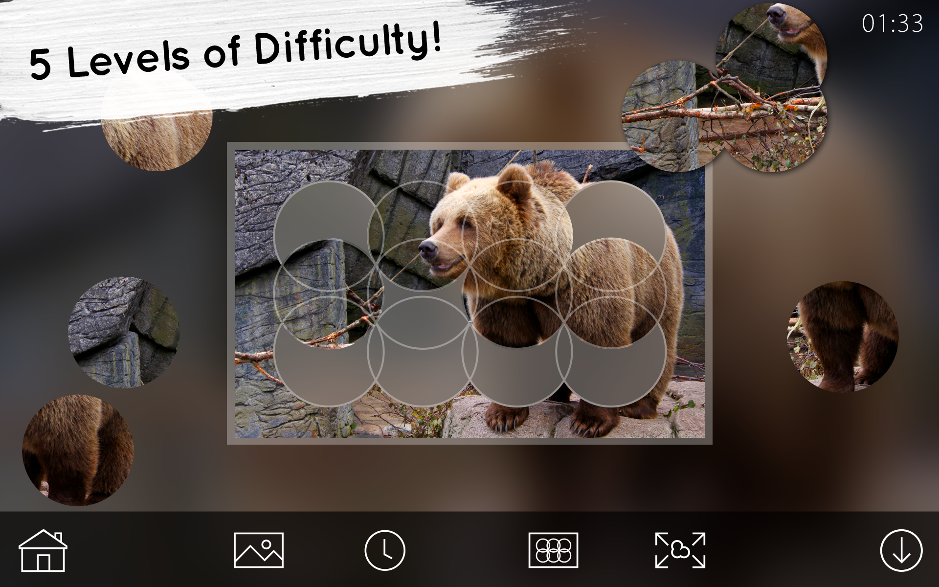 Venn Bears: Overlapping Jigsaw Puzzles - App on the Amazon Appstore