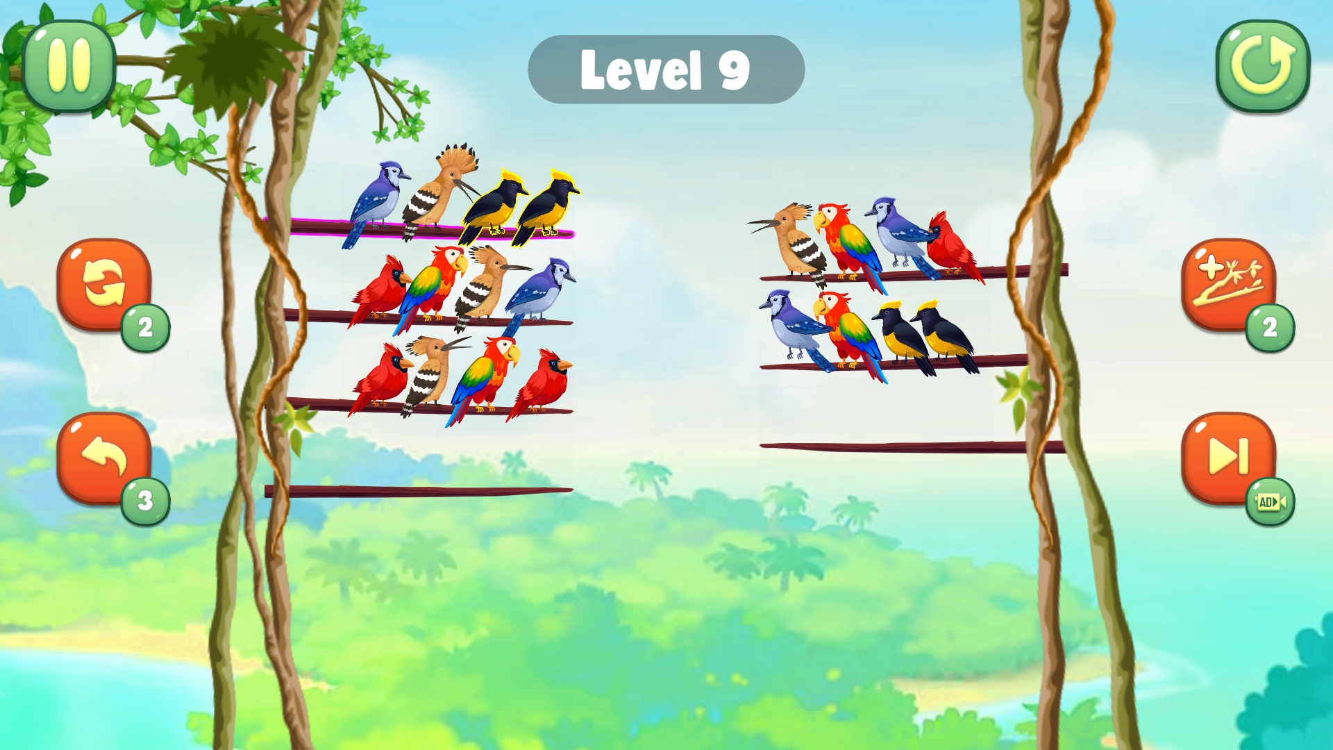 Bird Sortpuz: Brain & Puzzle Games, Fun and Relaxing Sortpuz Birds ...