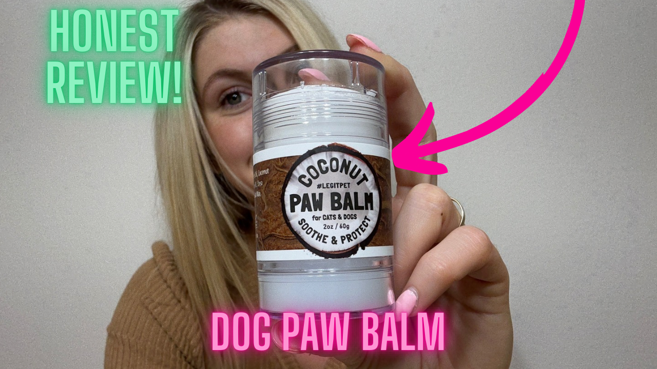 Watch Dog Paw Balm Stick Review on Amazon Live