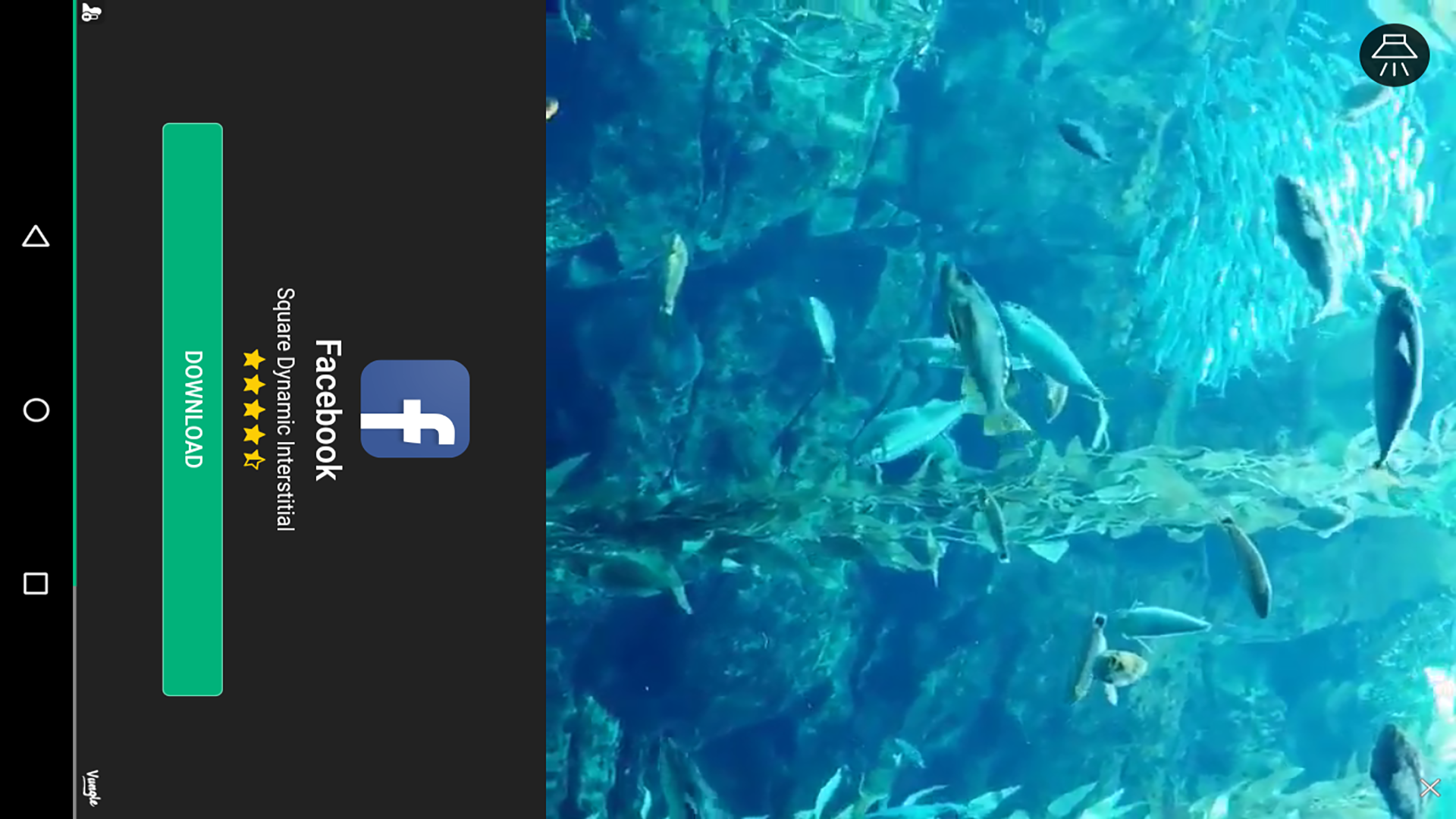 Toss a coin - App on Amazon Appstore