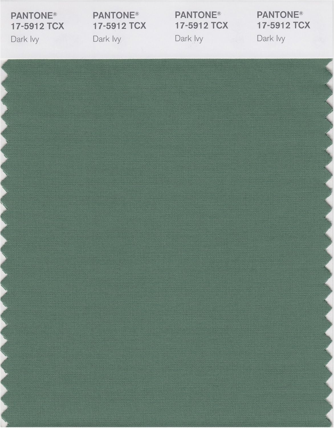 PANTONE Smart 17-5912X Color Swatch Card, Dark Ivy - Wall Decor ...