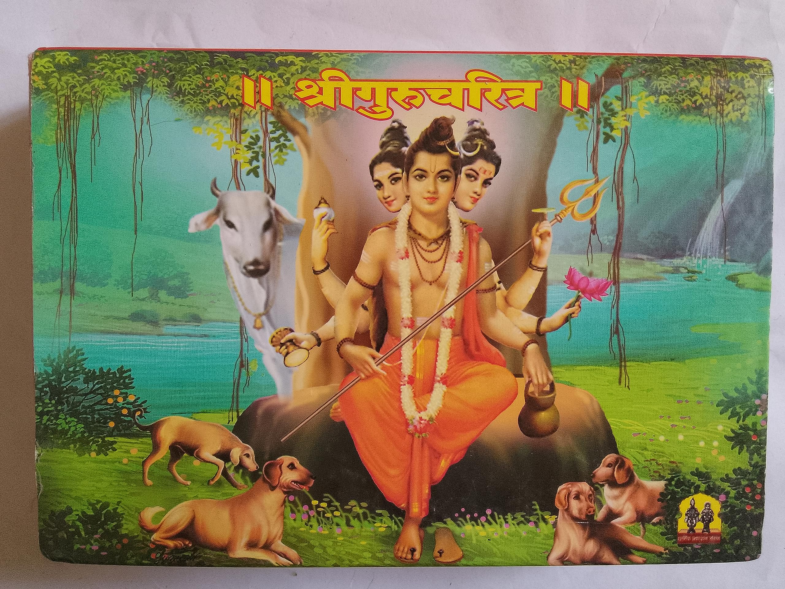 sri gurucharitra (small) : Dharmik Prakashan: Amazon.in: Books