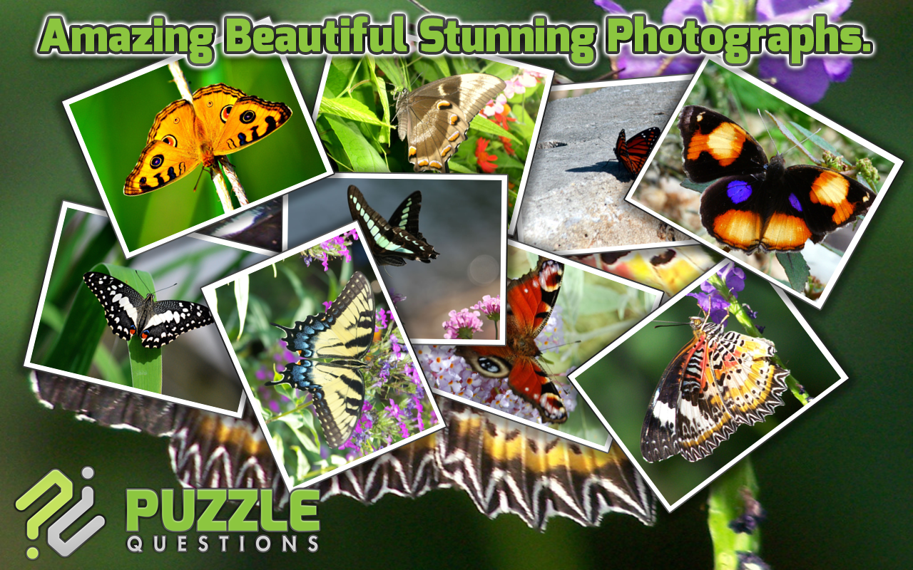 Free Butterfly Jigsaw Puzzle Games - App on Amazon Appstore