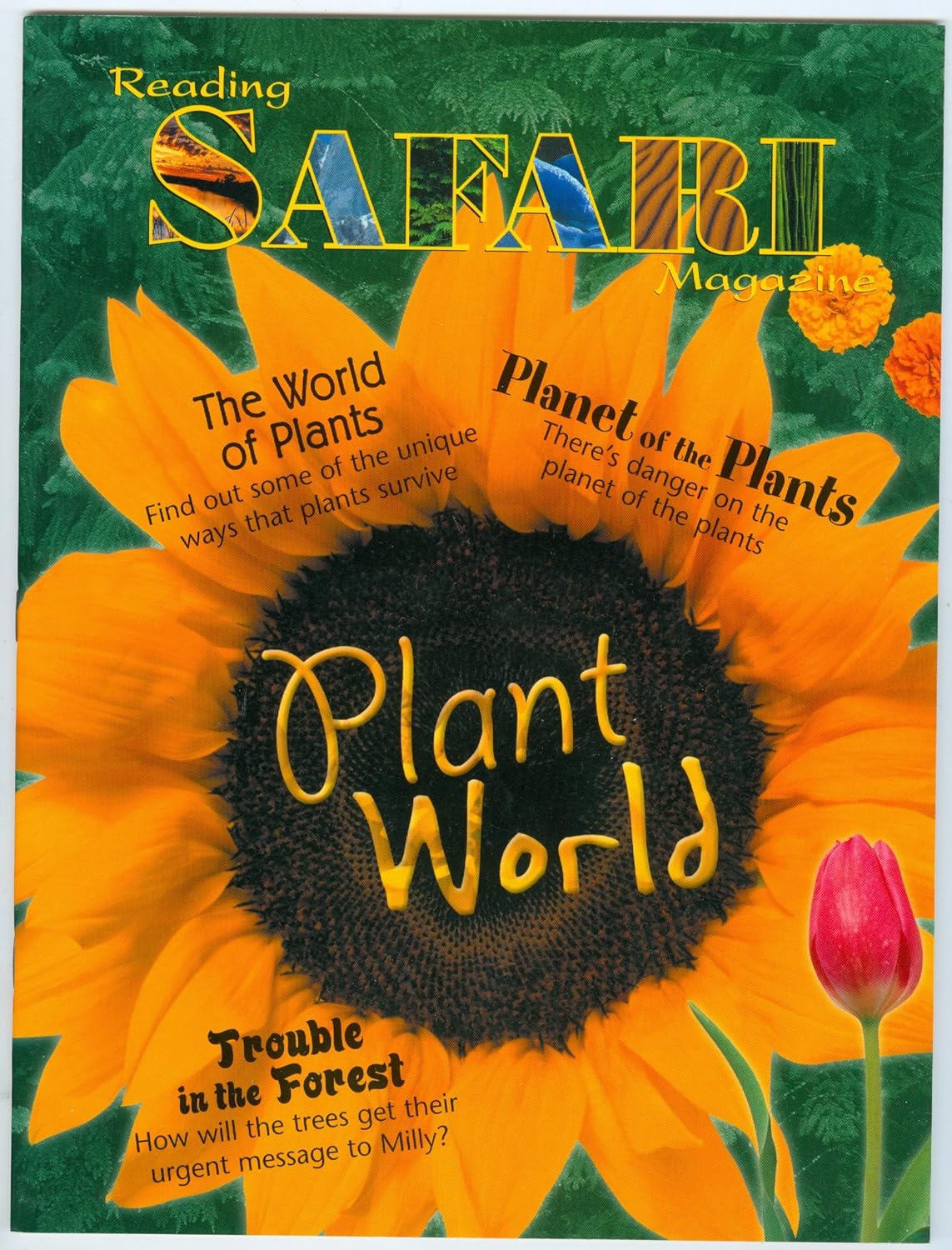 Reading Safari Magazine: Plant World: Cara Torrance: 9781590341681 ...