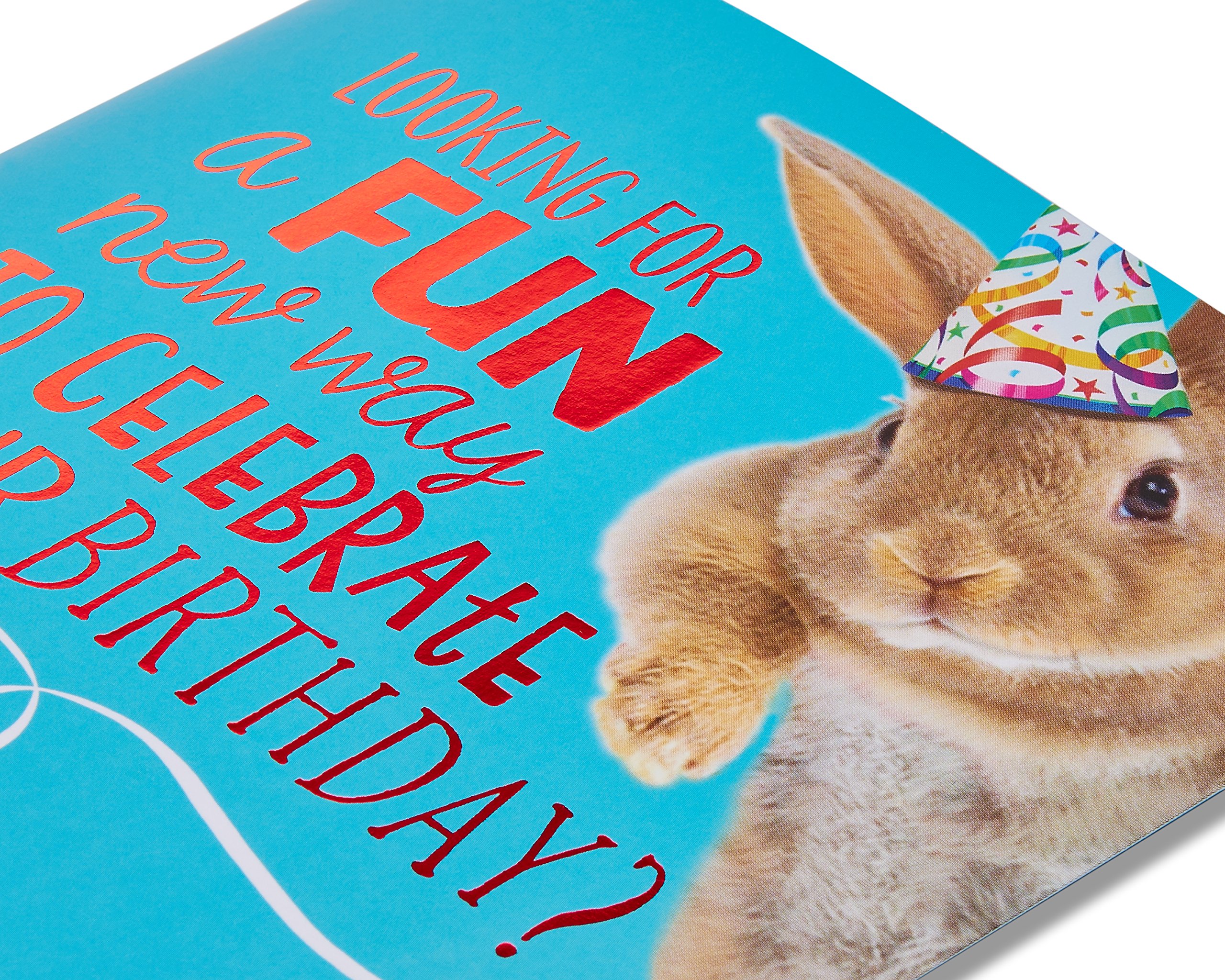 Funny Bunny Birthday Memes