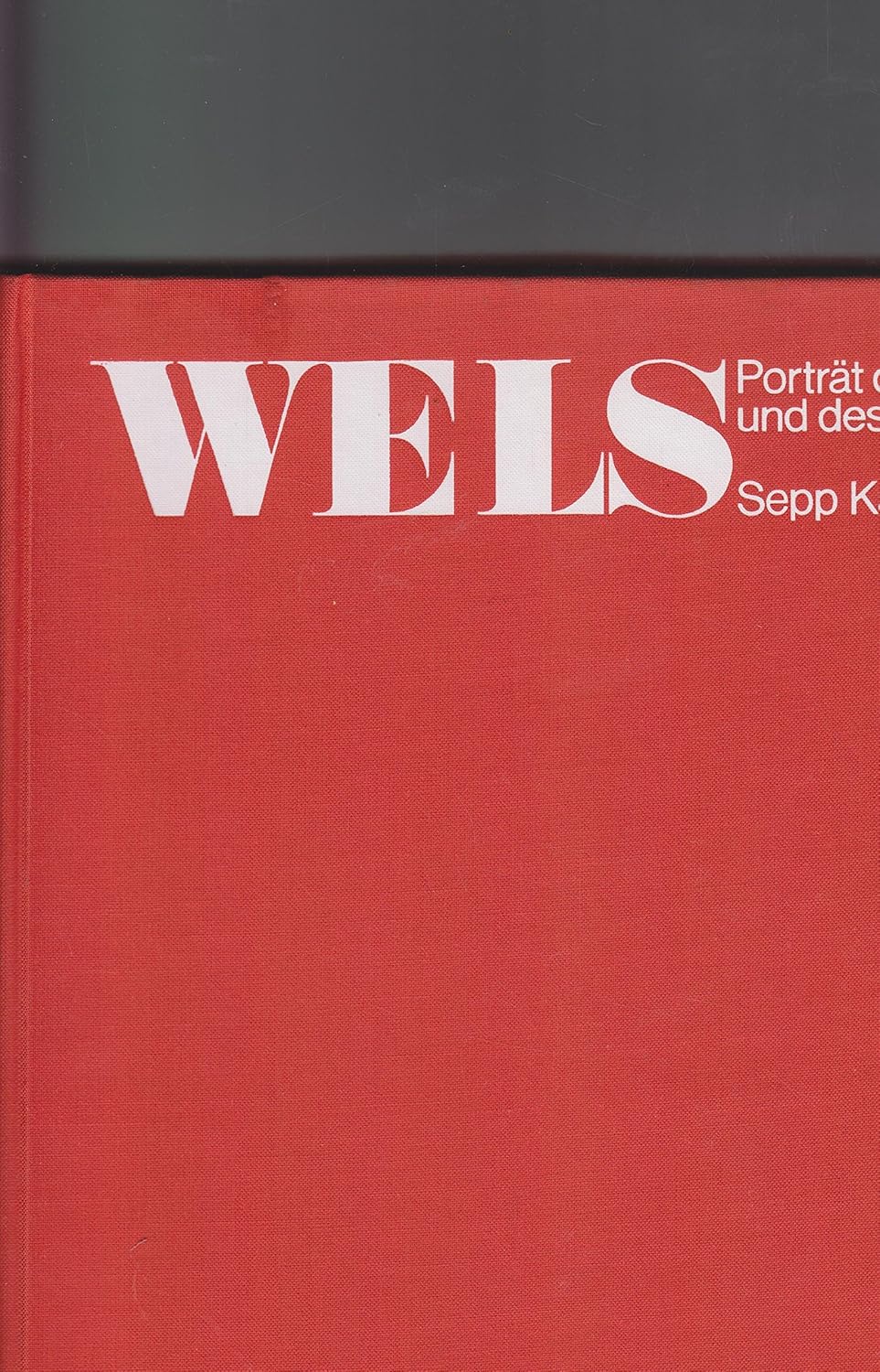 Wels : Amazon.de: Bücher