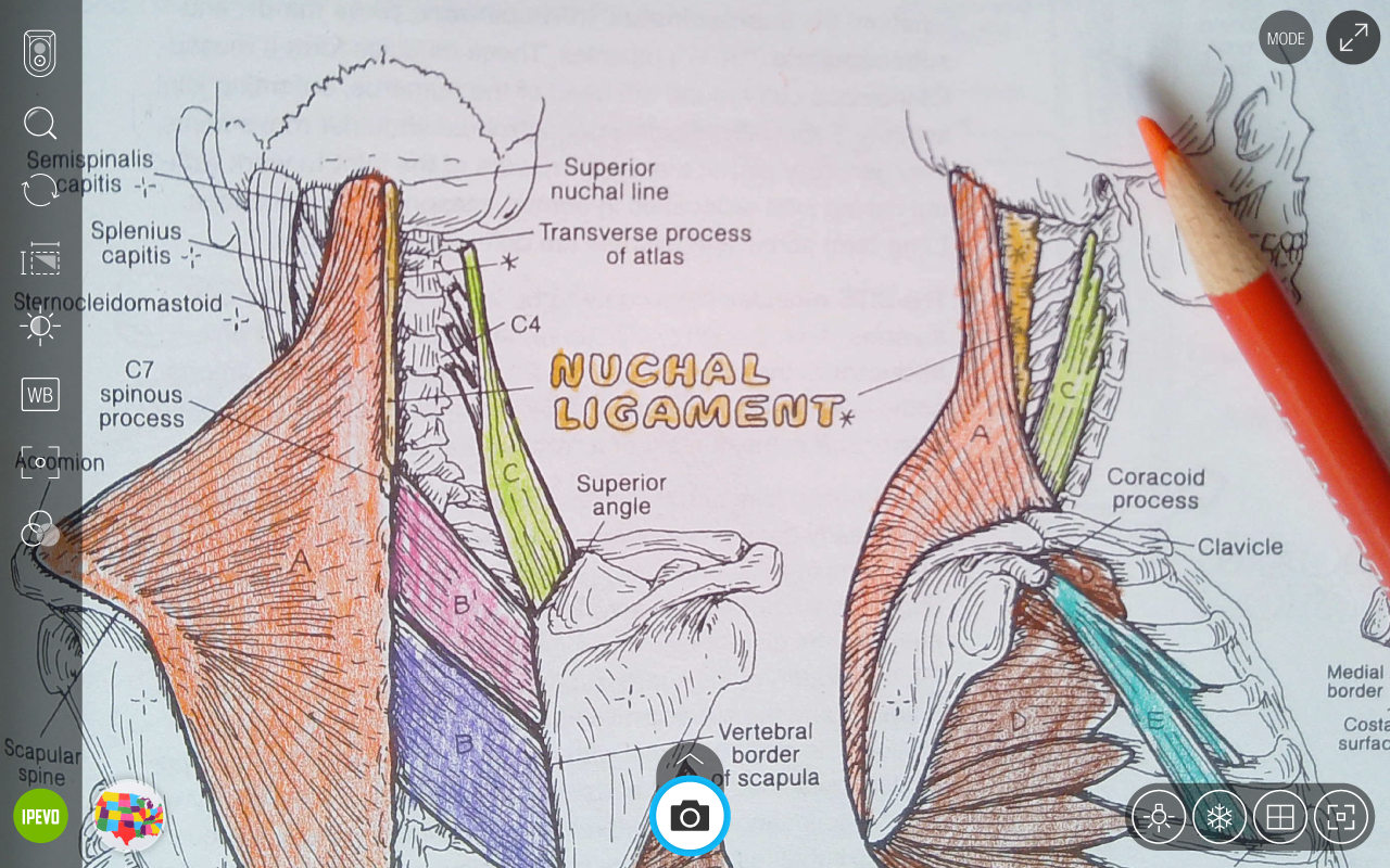 IPEVO Visualizer - App on Amazon Appstore