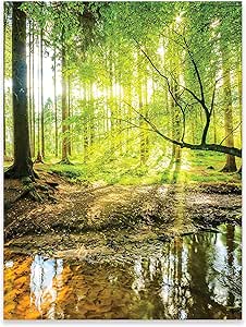 Amazon.de: Poster Wald Natur Grün Landschaft 50x70 cm Hochformat - OHNE ...