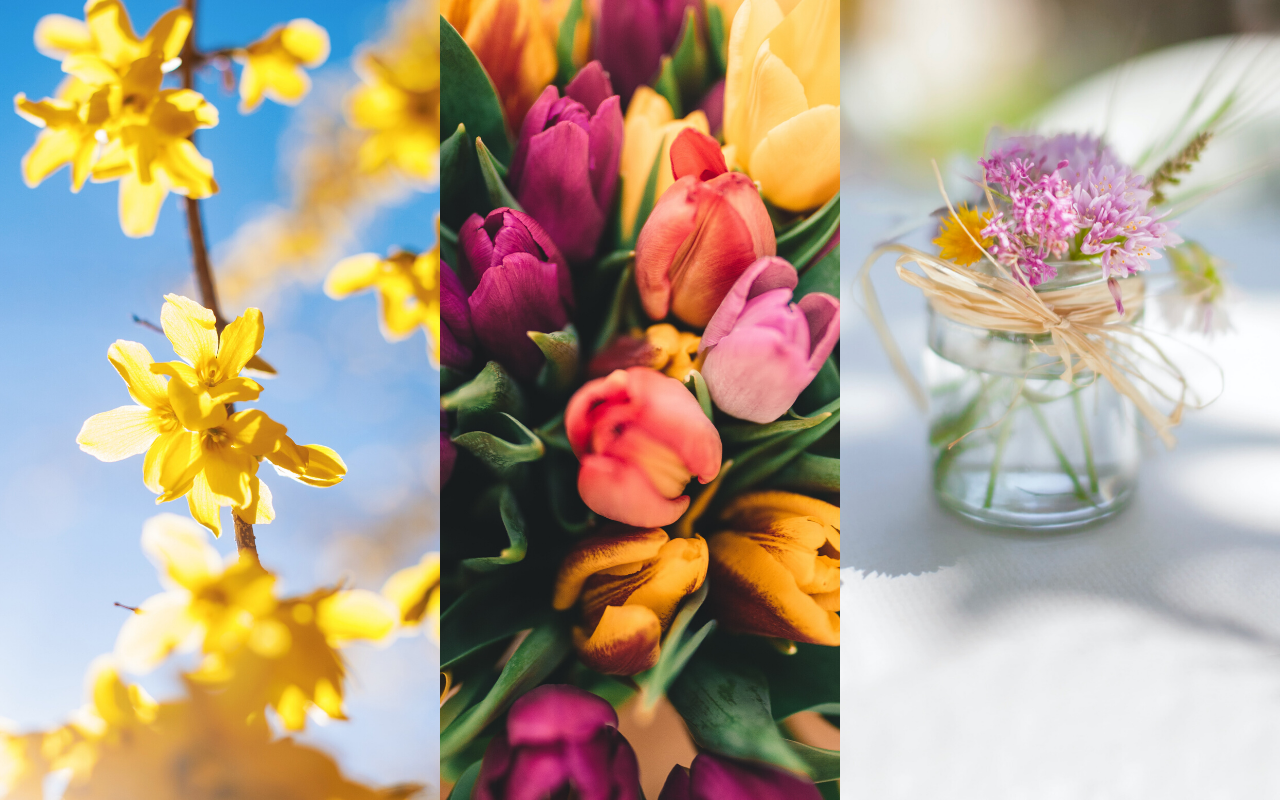 Flowers Wallpapers and Backgrounds - App on Amazon Appstore