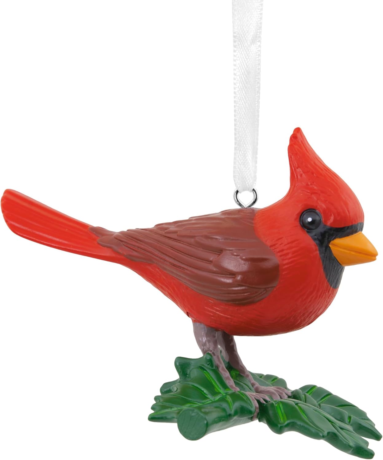 Amazon.com: Hallmark Cardinal Bird Christmas Ornament : Home & Kitchen