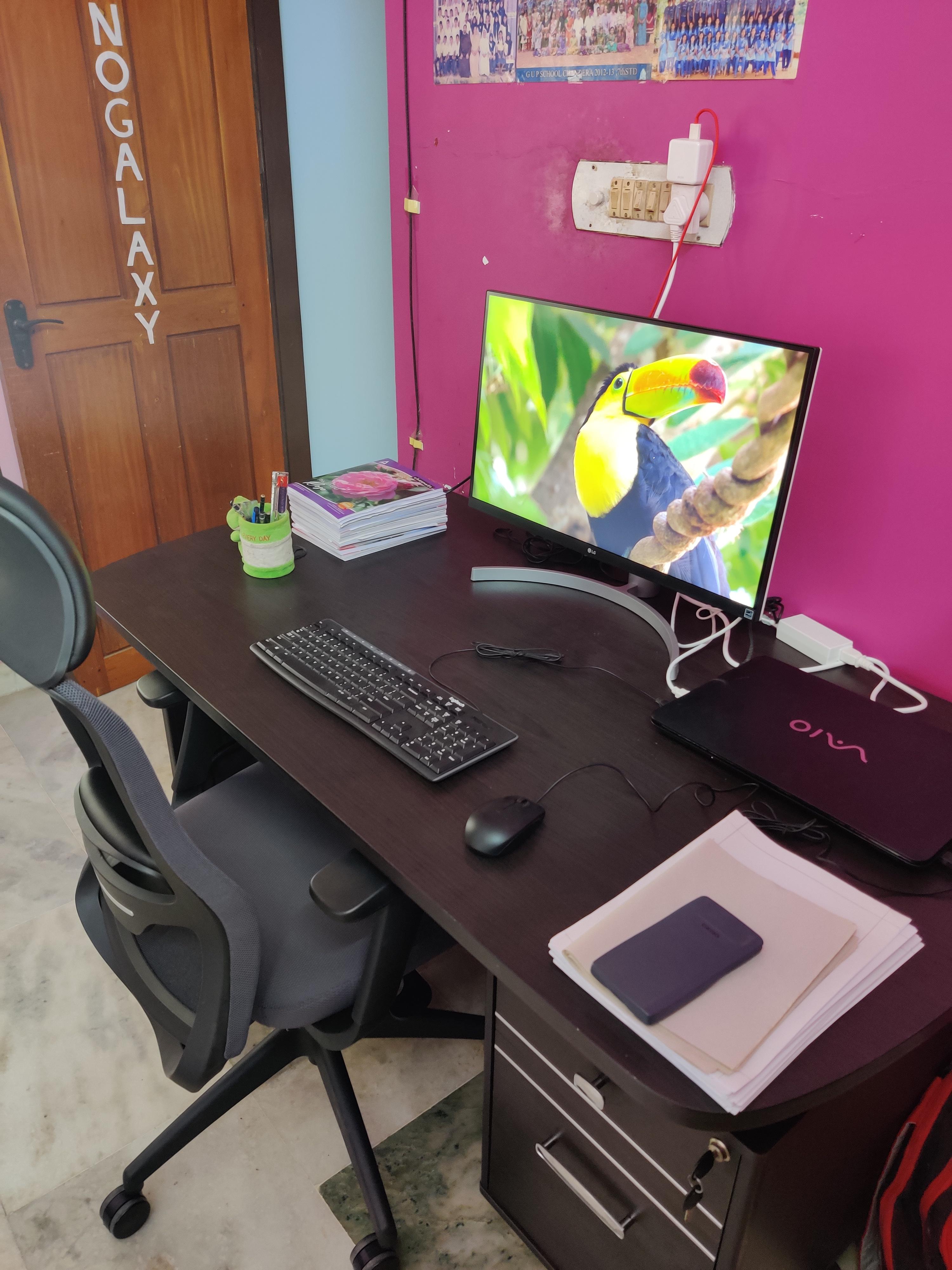 LG 68.58 Cm (27 Inch) (68.58 Cm) 4K-UHD (3840 x 2160) Pixels VESA ...