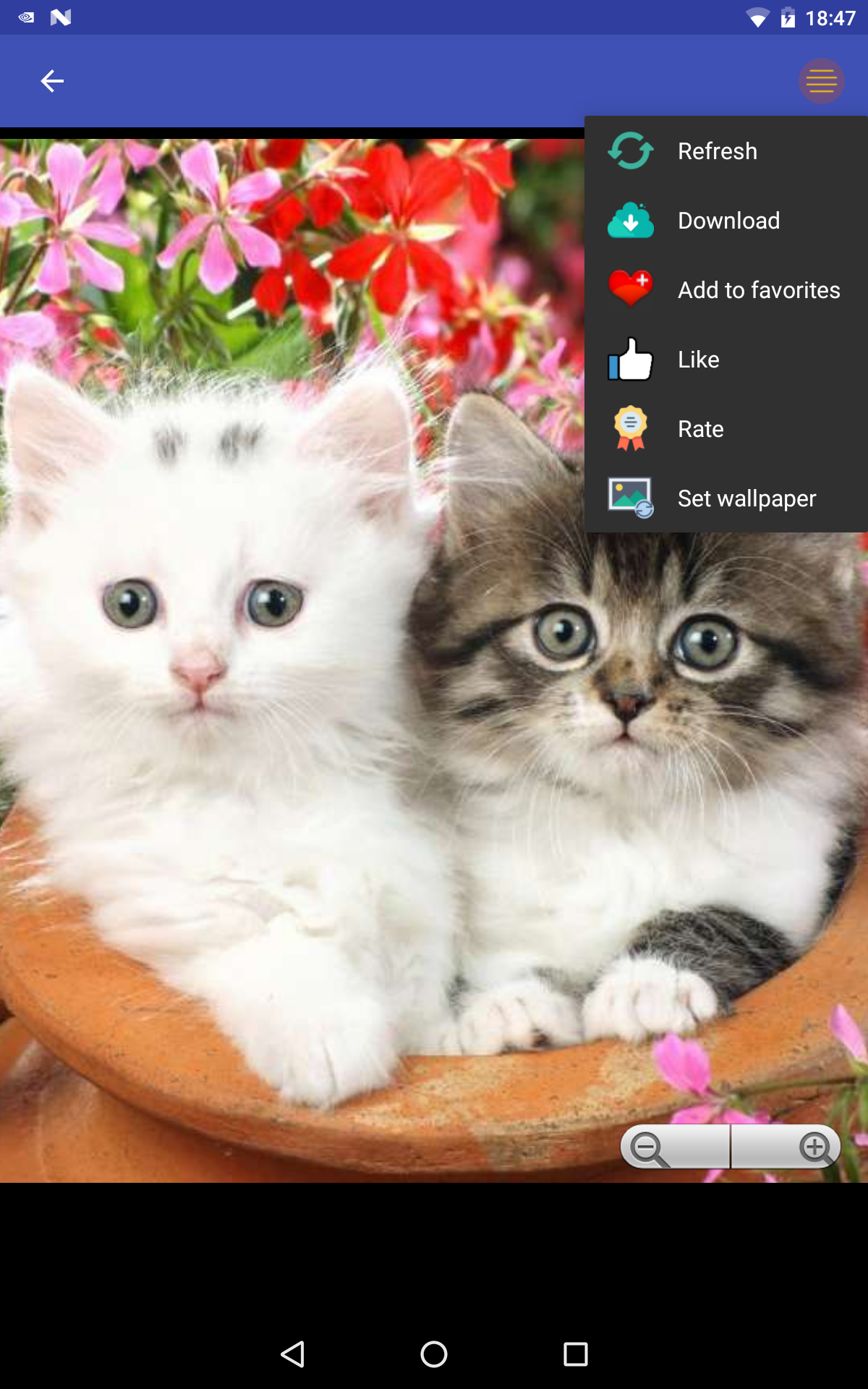 Cats Wallpapers - App on Amazon Appstore