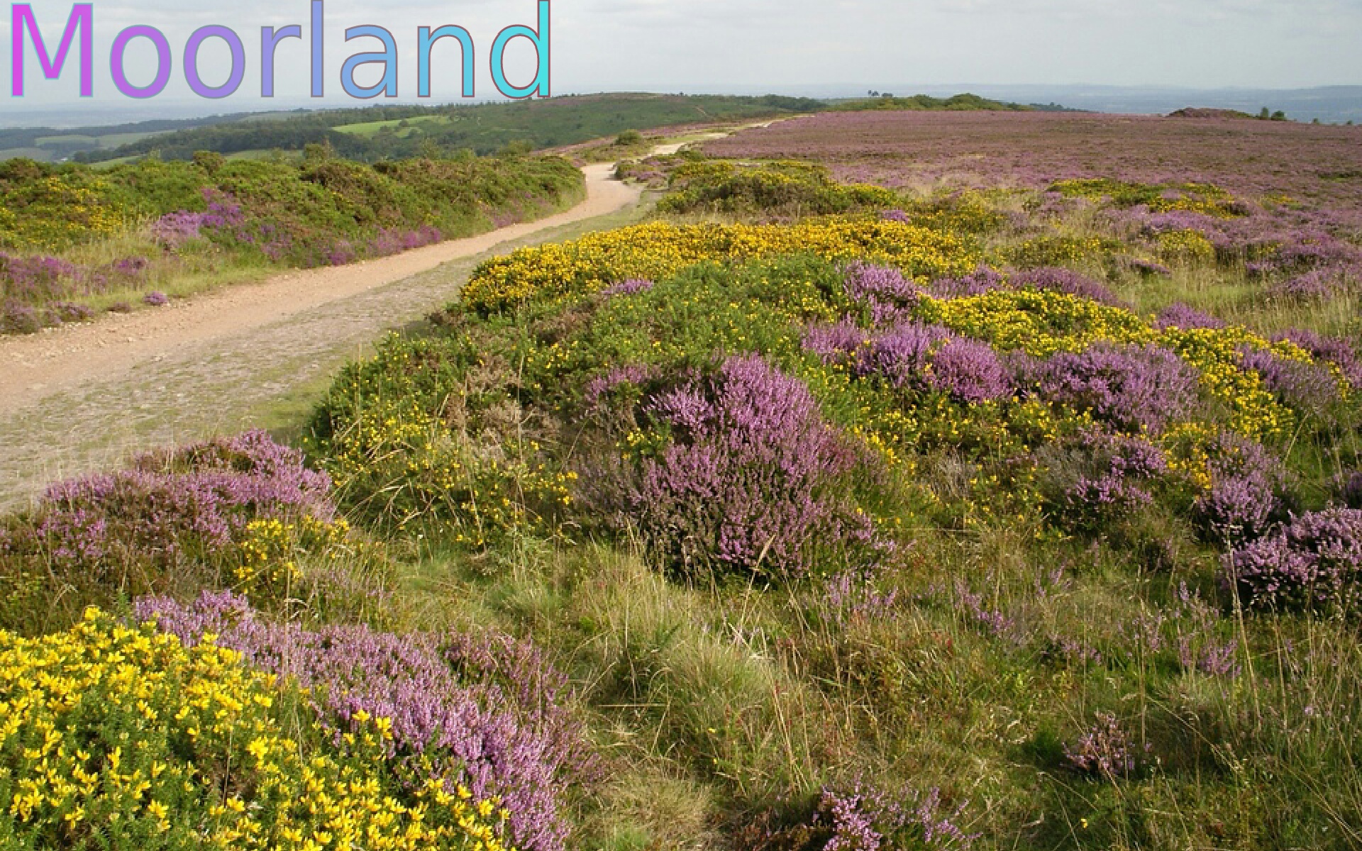 Geography Natural Features - App on Amazon Appstore