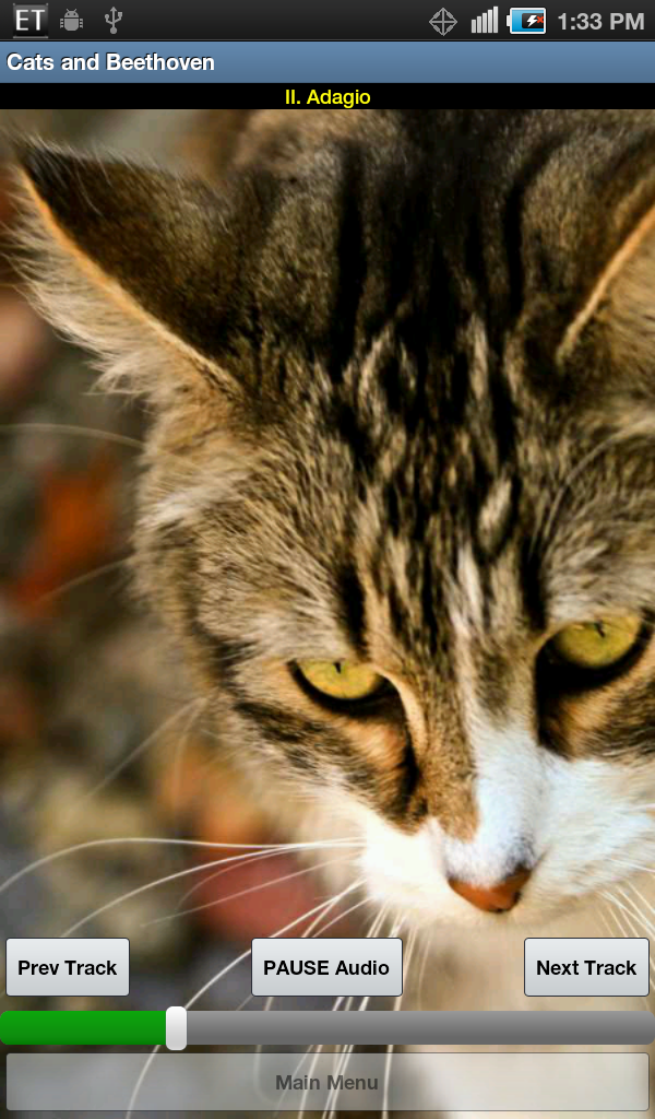 Classical Music - Cats and Beethoven - App on Amazon Appstore