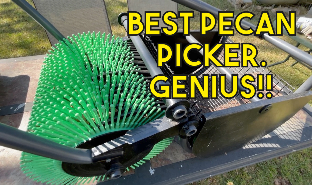 Watch Bag-A-Nut Pecan Harvester - The Best Pecan Picker! on Amazon Live