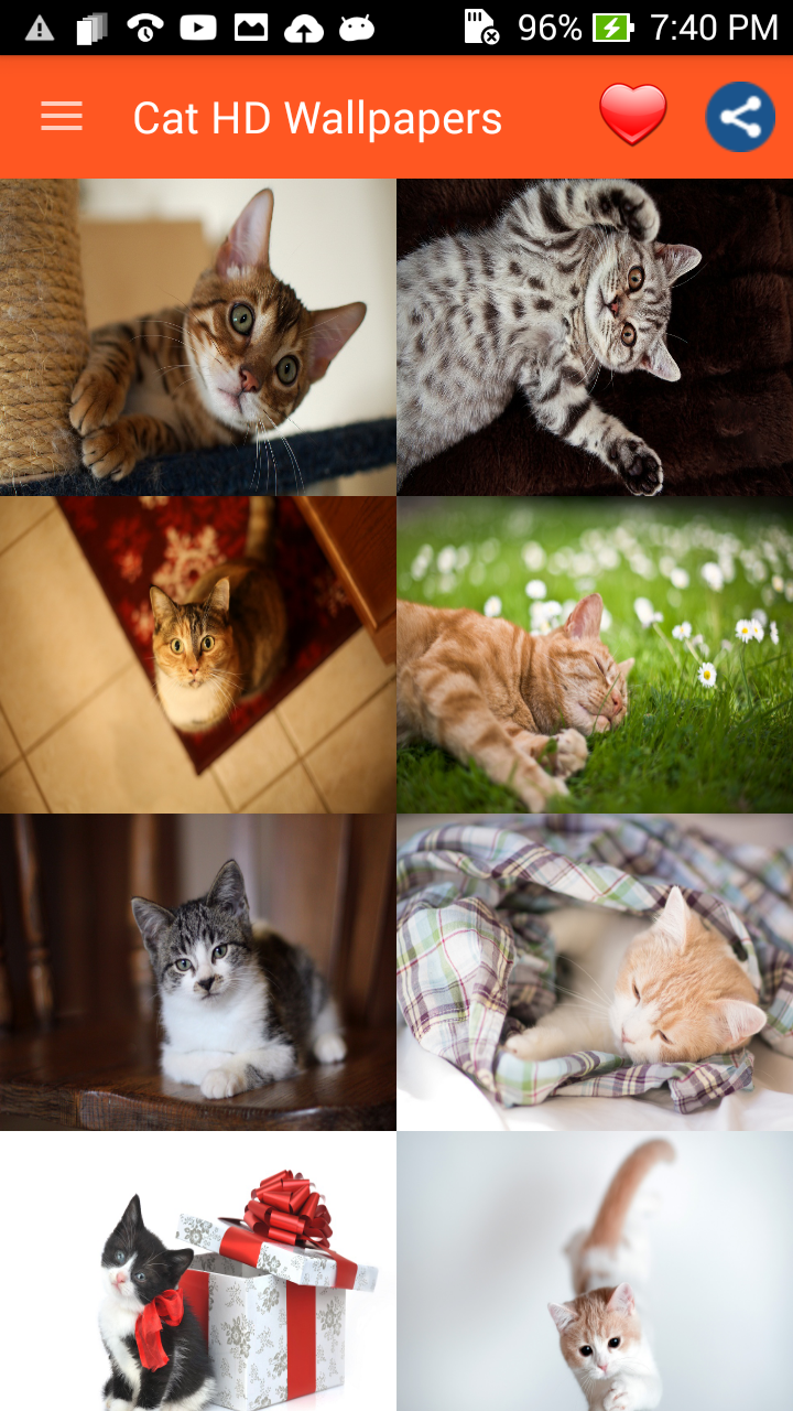 Cute Cat Wallpapers - App on Amazon Appstore