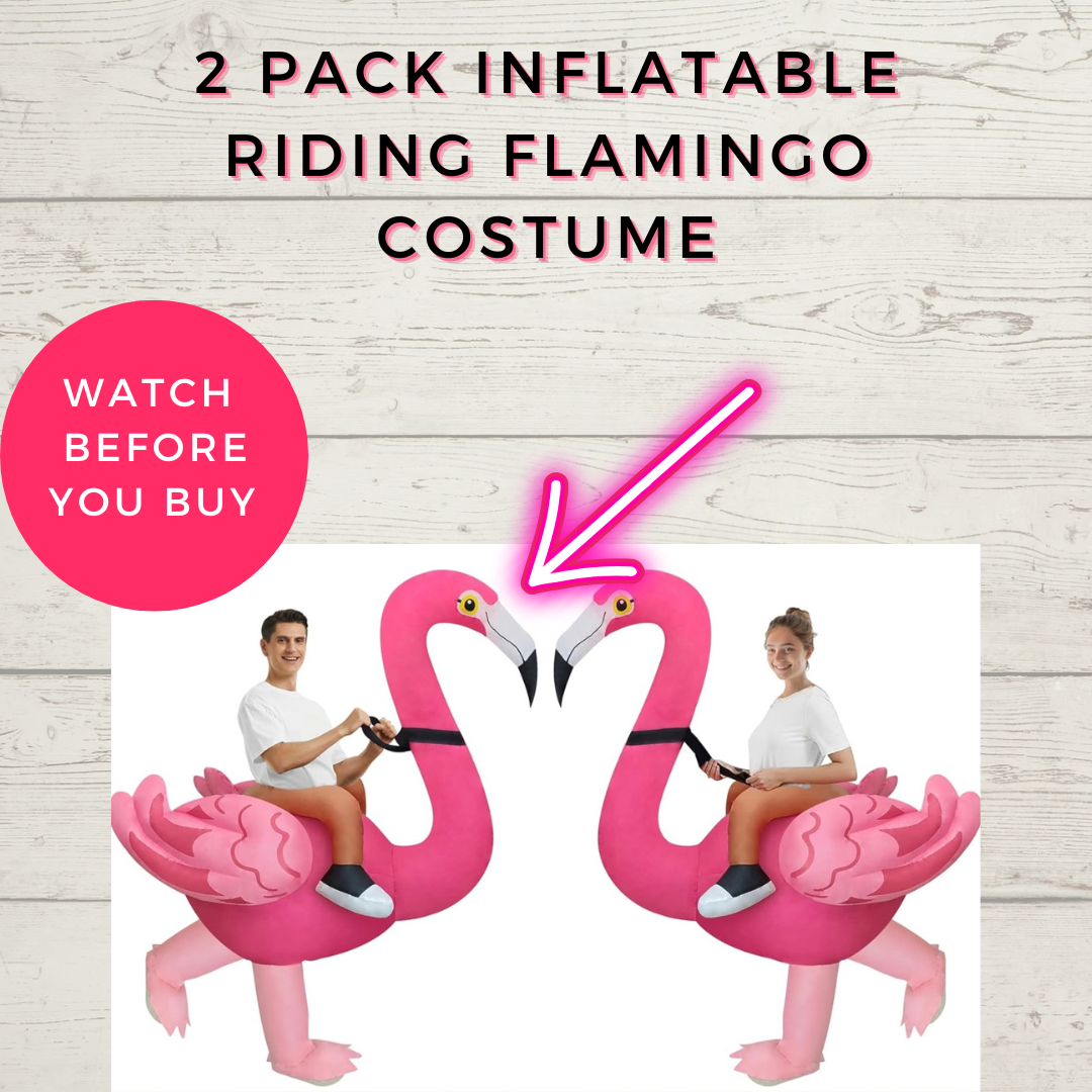 Watch Honest Review of 2 pack Inflatable Riding Flamingo Costume on ...