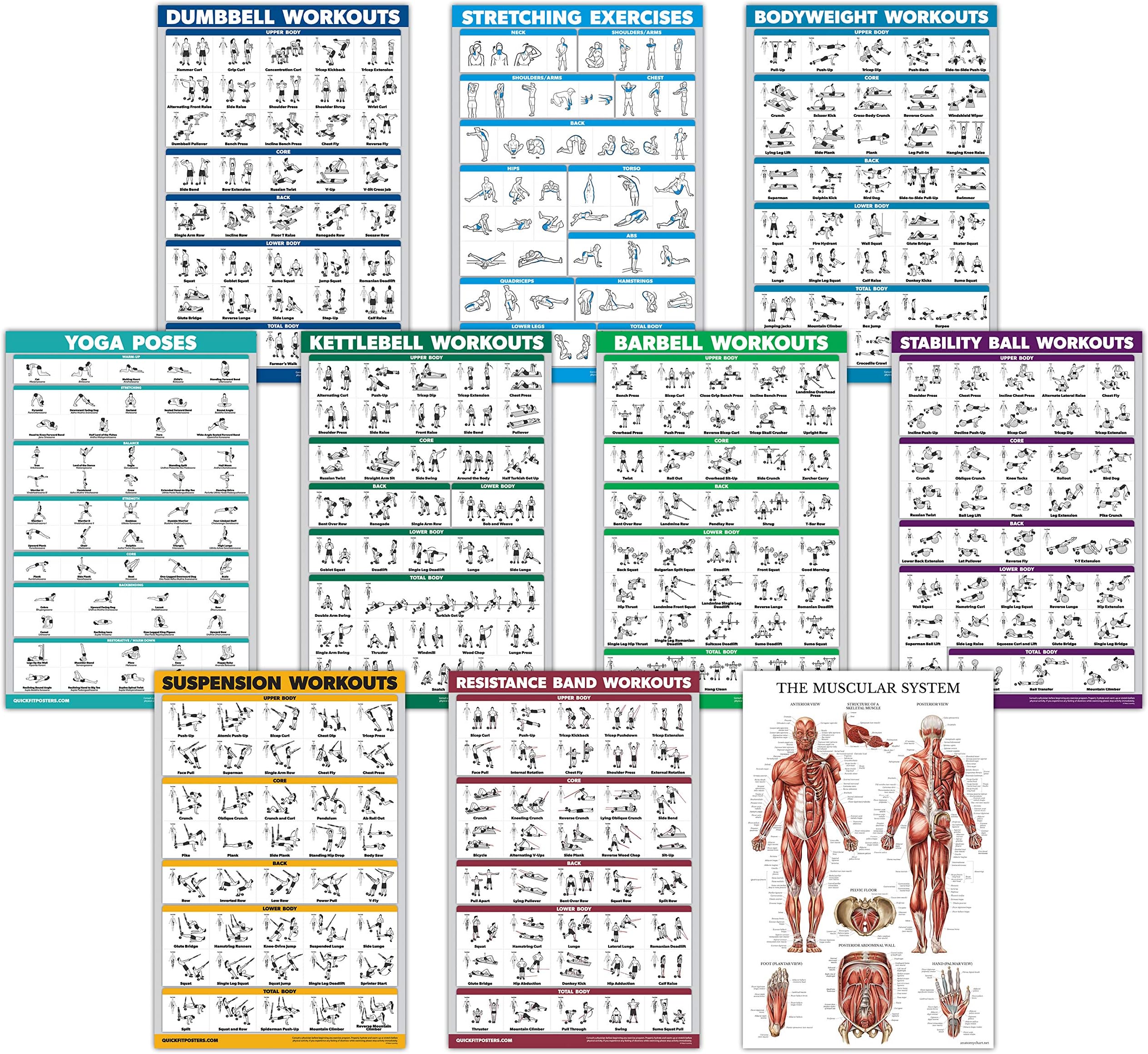 Amazon.com: 10 Pack - Exercise Workout Poster Set - Dumbbell ...