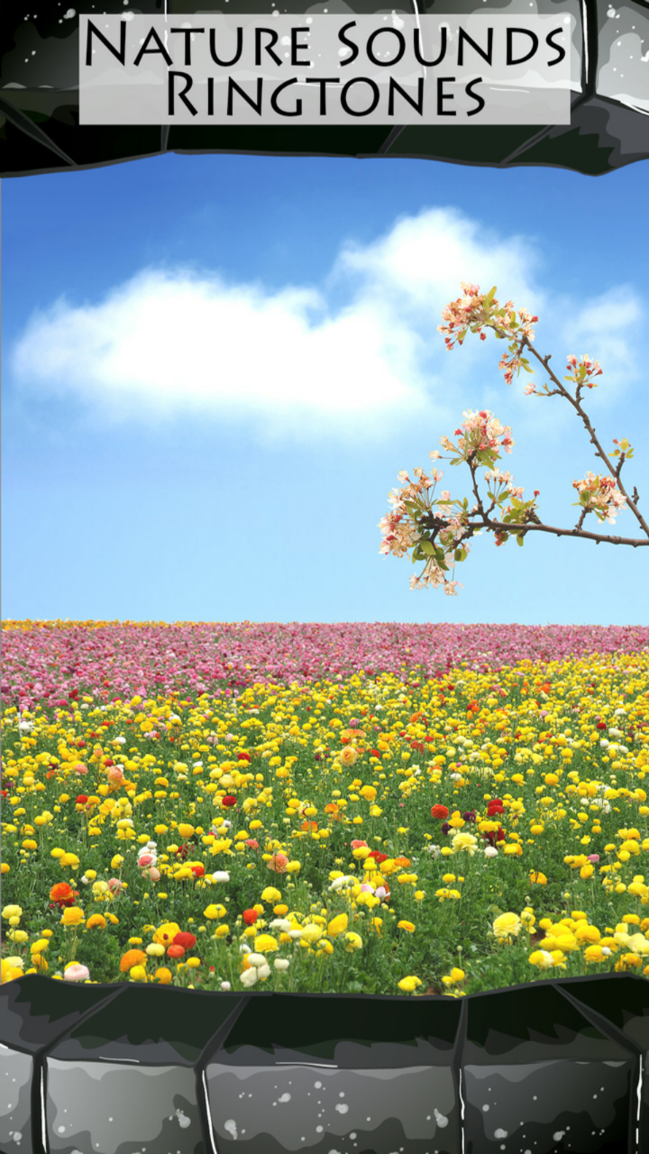 Nature Sounds Ringtones - App on Amazon Appstore