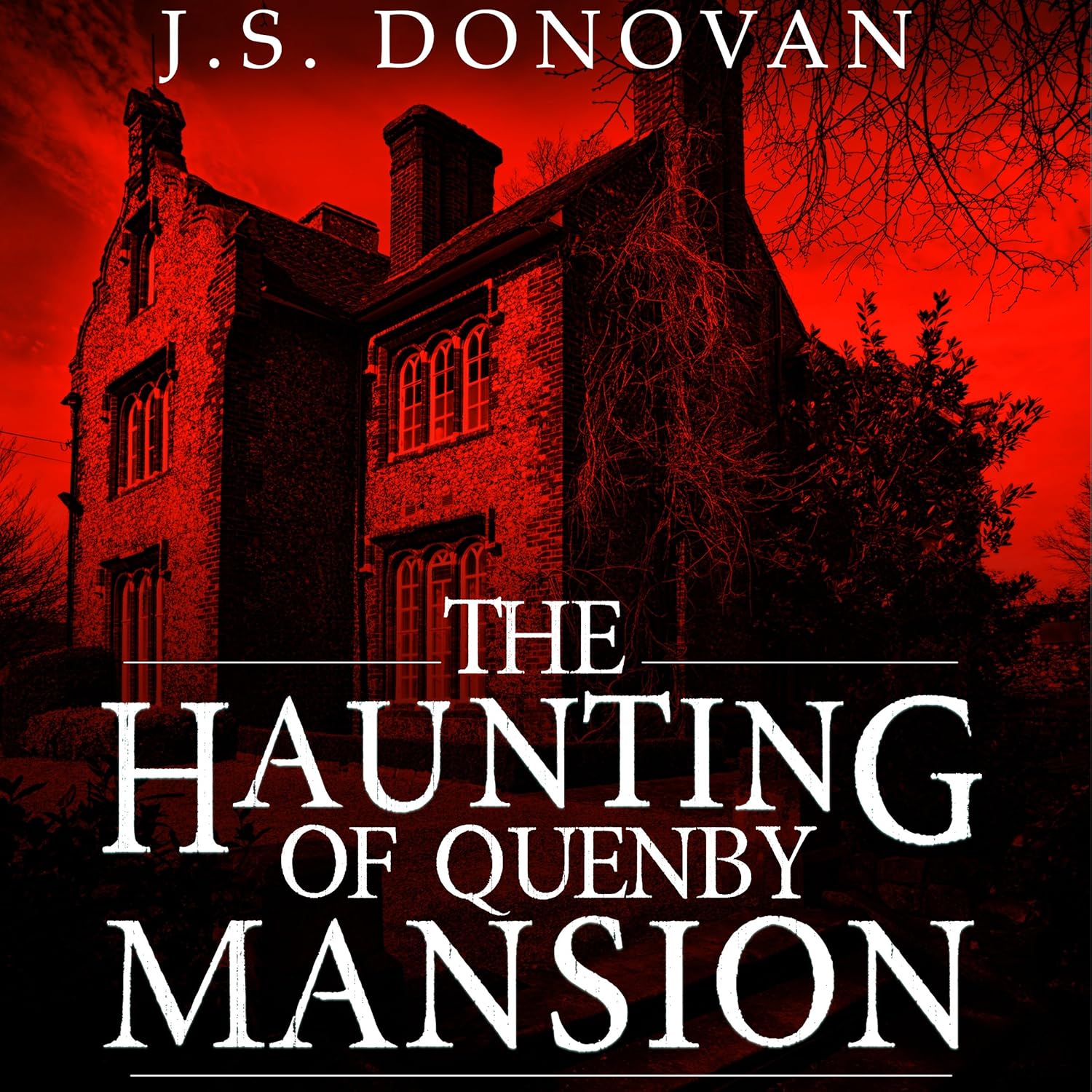 Amazon.com: The Haunting of Quenby Mansion: A Haunted House Mystery ...