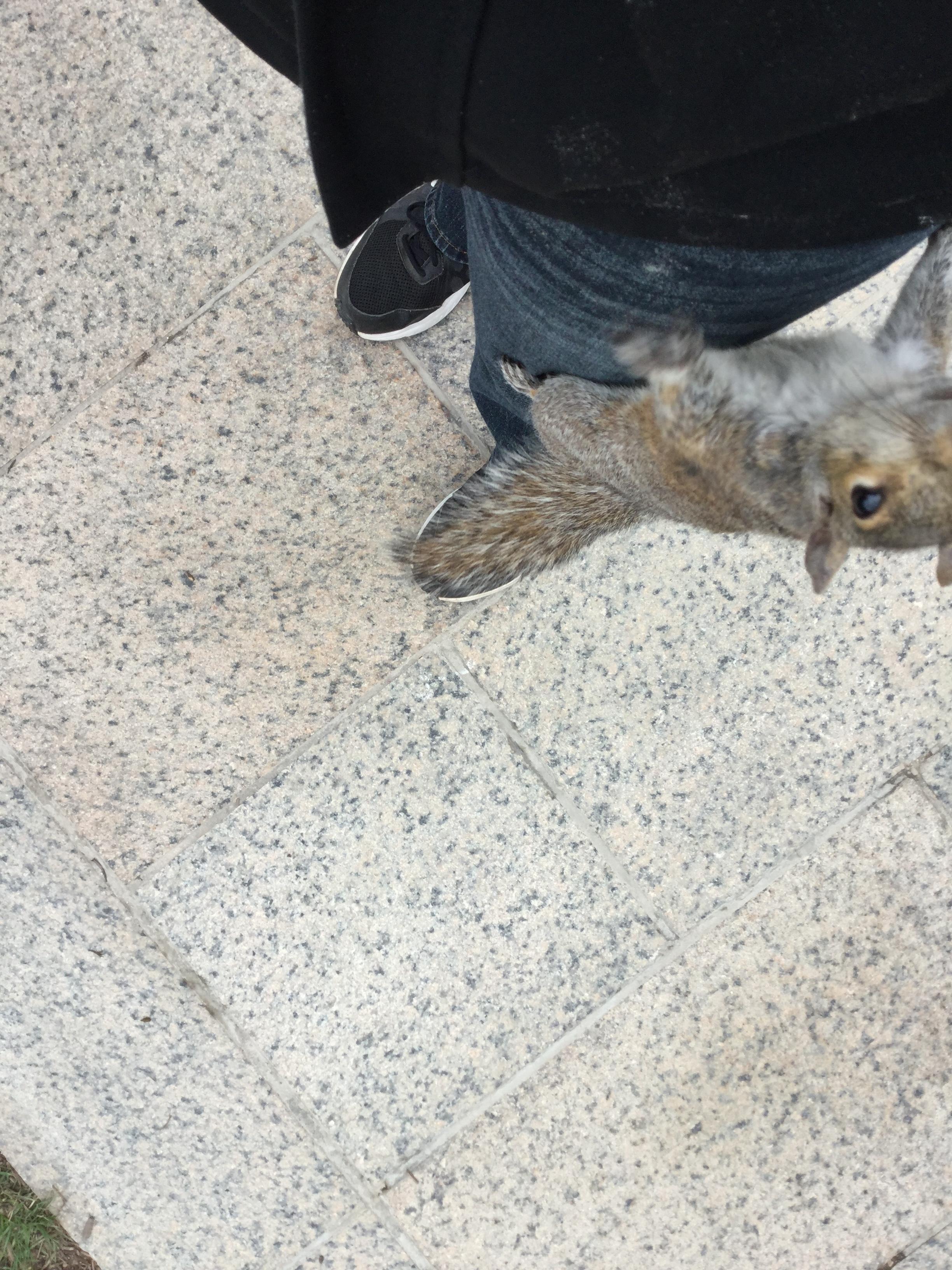 Amazon.com: Cj Evans: books, biography, latest update