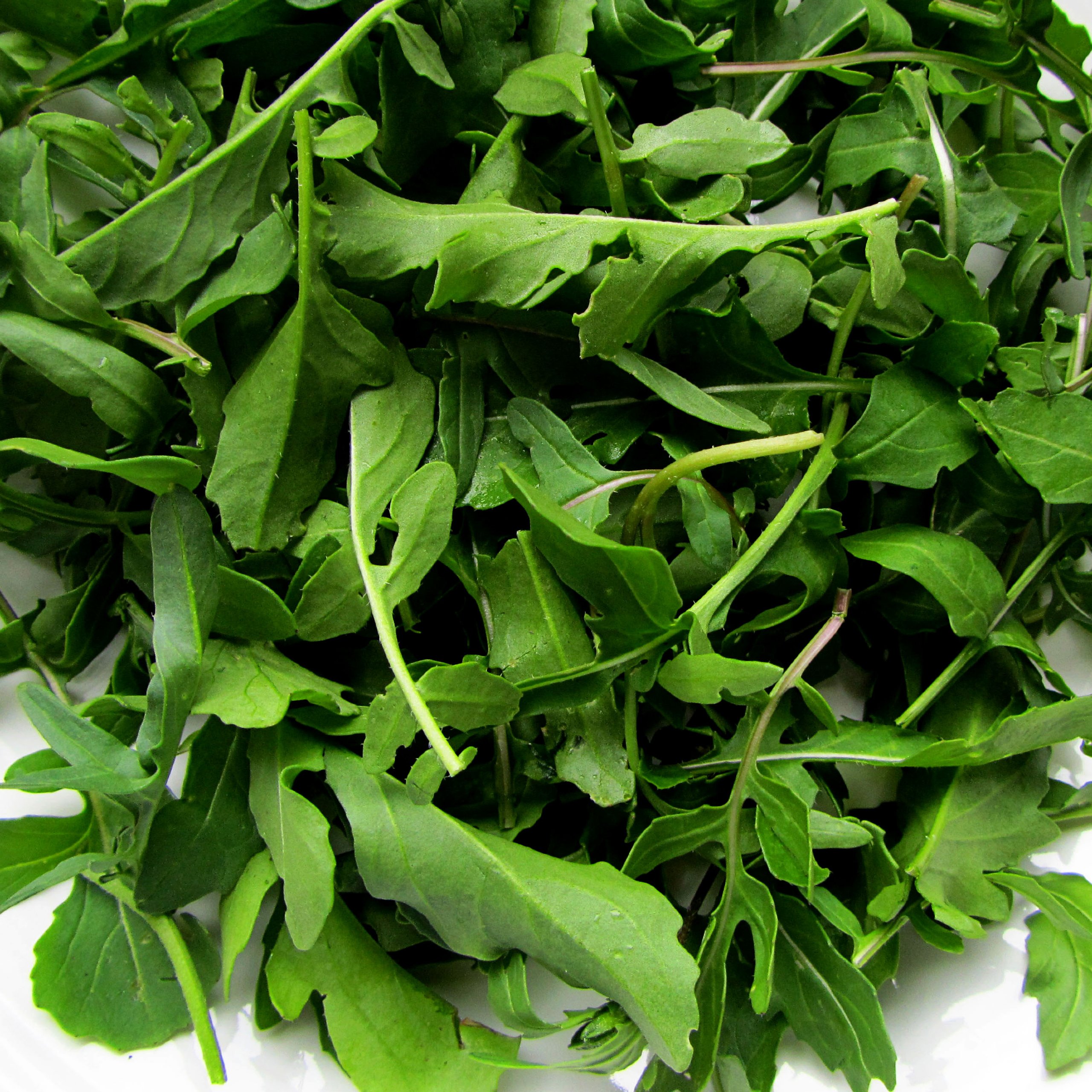 Amazon.com : Arugula Seeds - Arugula Roquette (Rocket Arugula) 200 ...