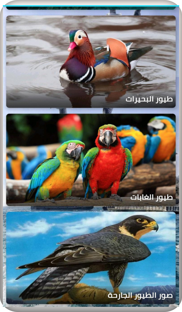 KHALFİYAT - App on Amazon Appstore