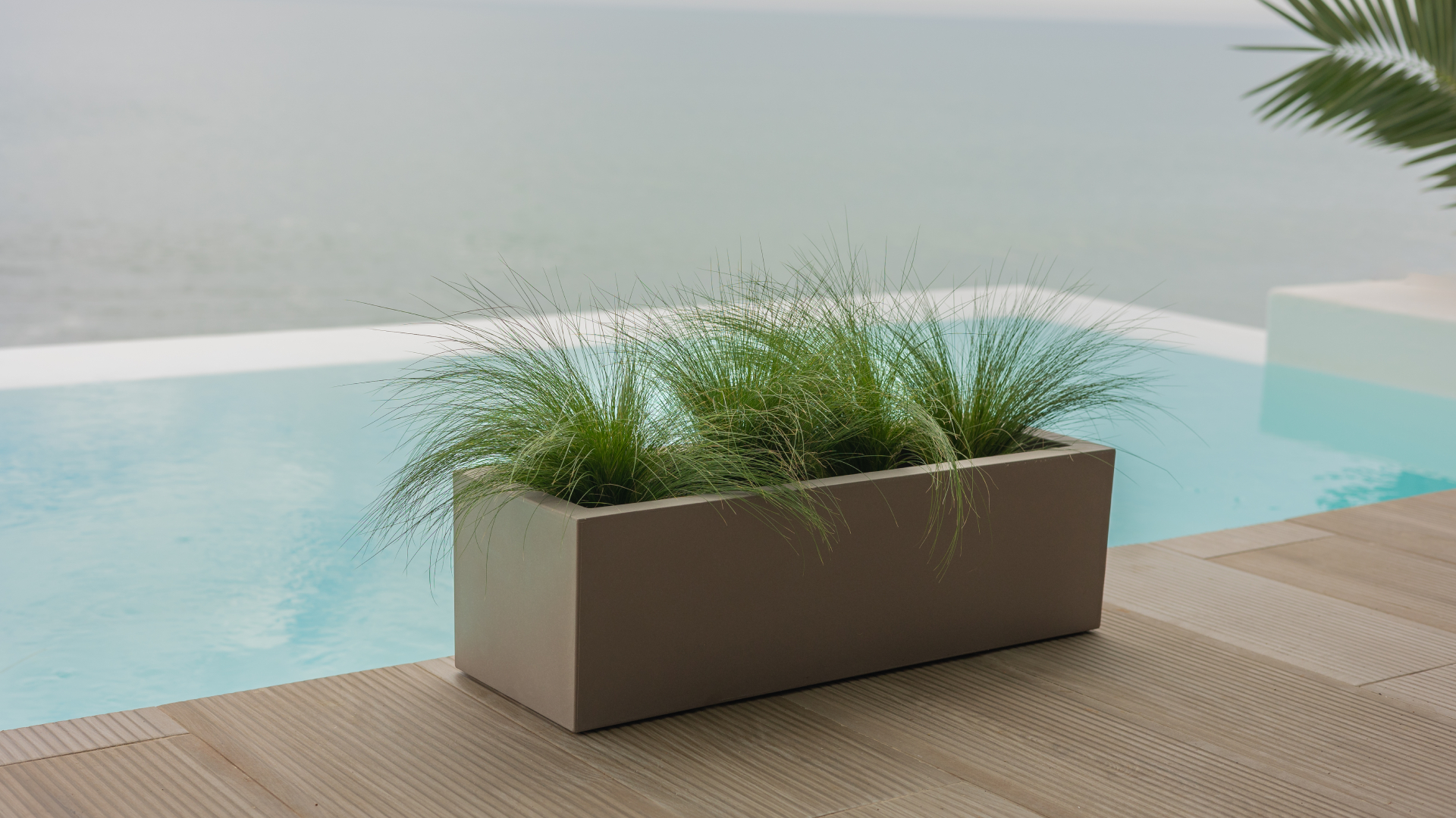 Rectangular Flower Containers