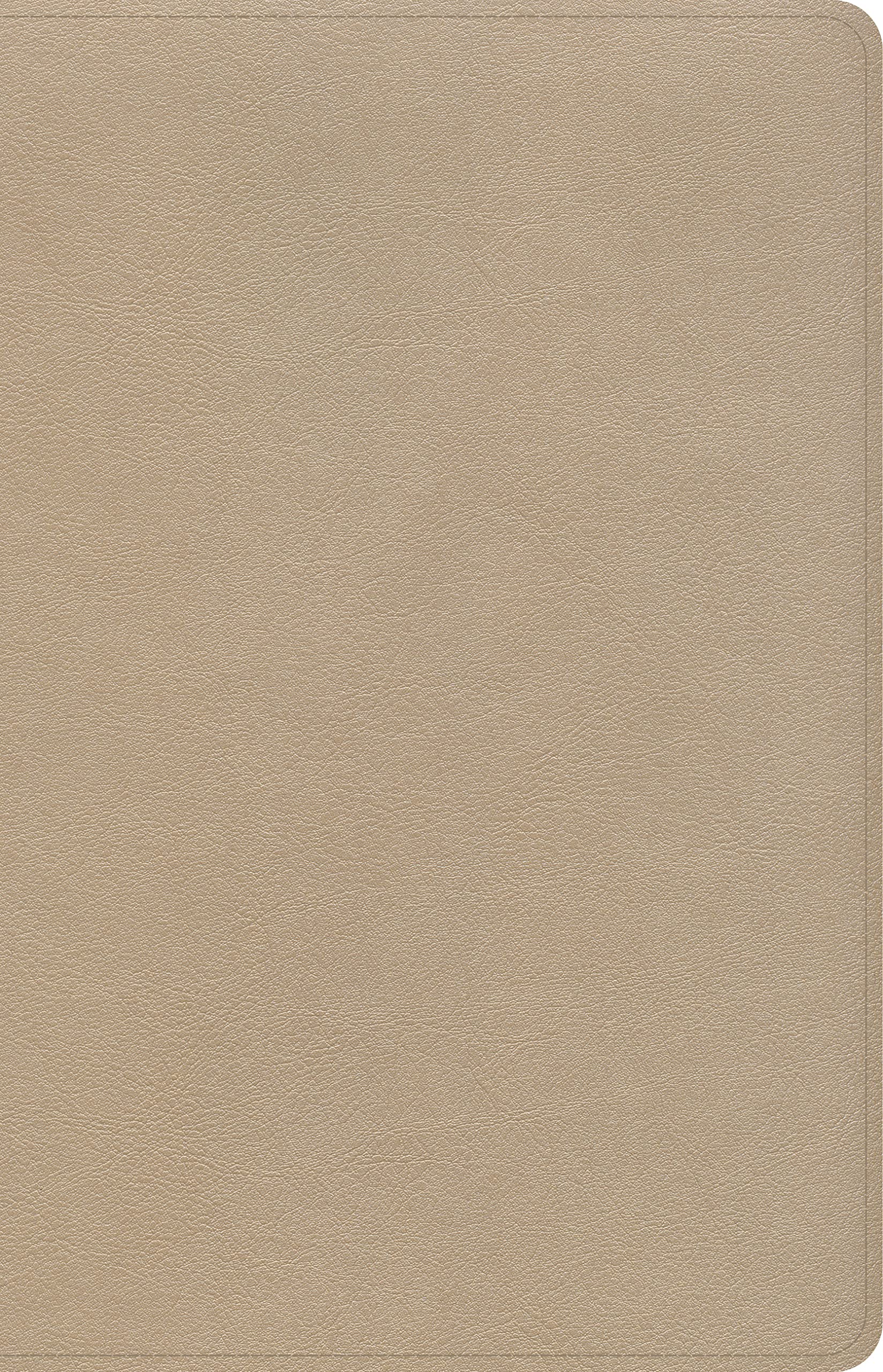 CSB Large Print Personal Size Reference Bible, Gold LeatherTouch, Red ...