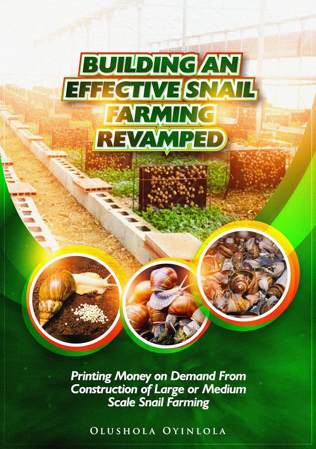 Amazon.com: BUILDING AN EFFECTIVE SNAIL FARMING REVAMPED : Printing ...