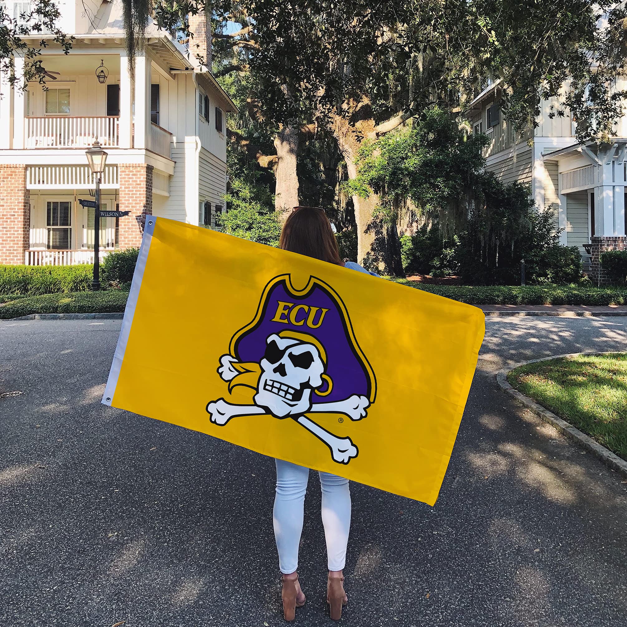 Bandera Ecuador East Carolina University Flags, Outdoor Games ECU ...
