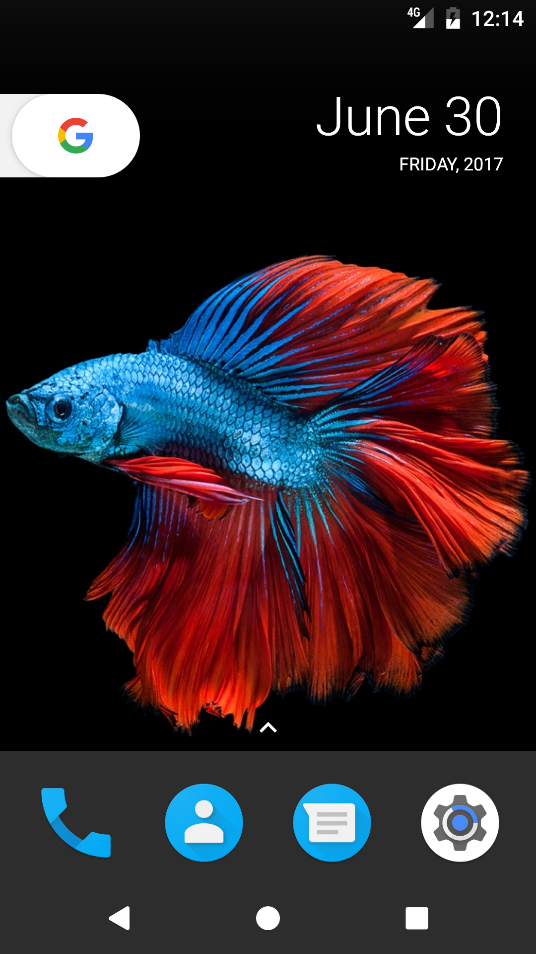 Betta Fish HD Wallpapers - Aplicativo na Amazon Appstore