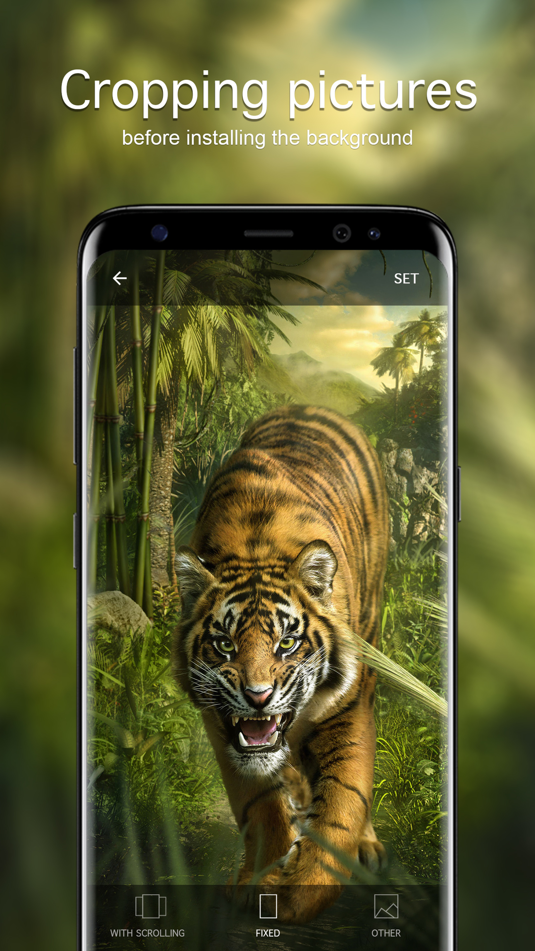 Tiger Wallpapers and Backgrounds apps 4k - App on the Amazon Appstore