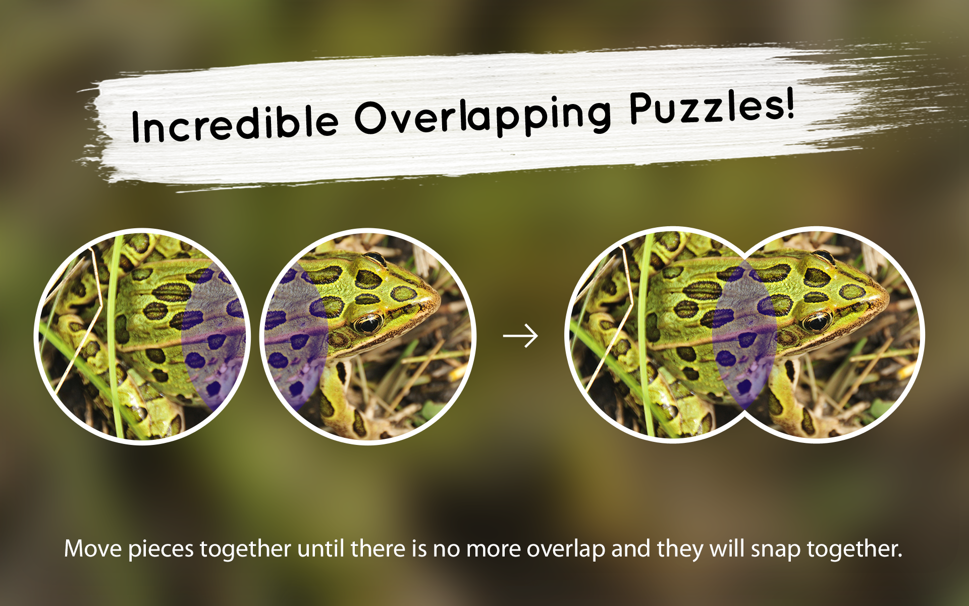 Venn Frogs: Overlapping Jigsaw Puzzles - App on Amazon Appstore