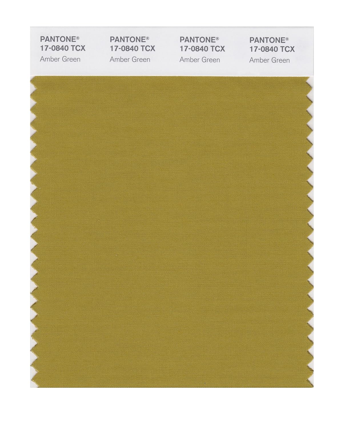 PANTONE Smart 17-0840X Color Swatch Card, Amber Green : Amazon.in: Home ...