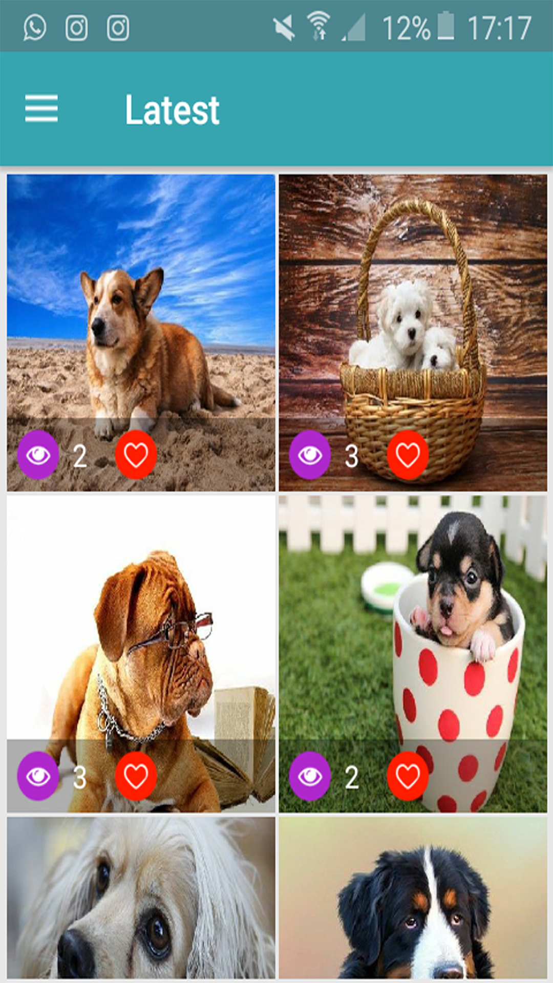 Animal Wallpaper 3D Free 2018 - App on Amazon Appstore