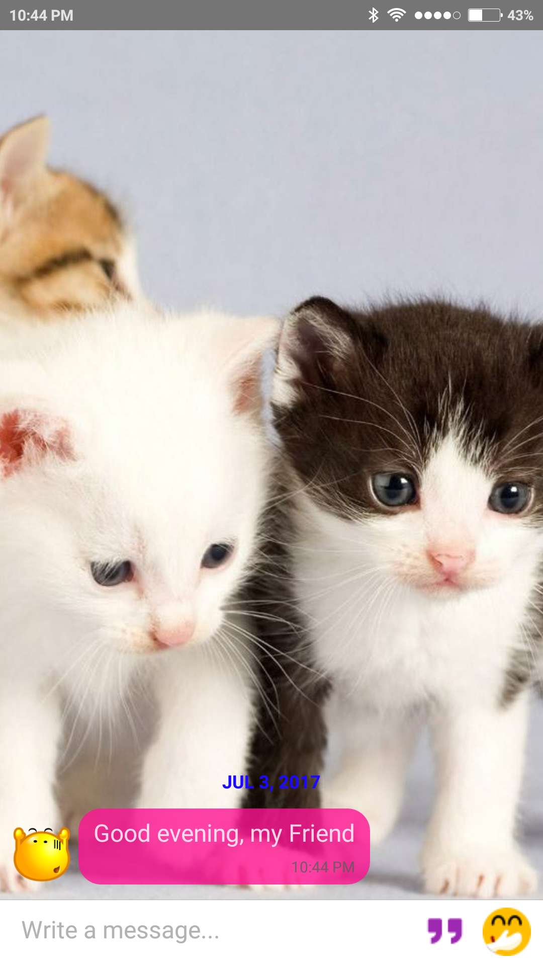 Buddy Messenger - English conversation chatbot - App on the Amazon Appstore