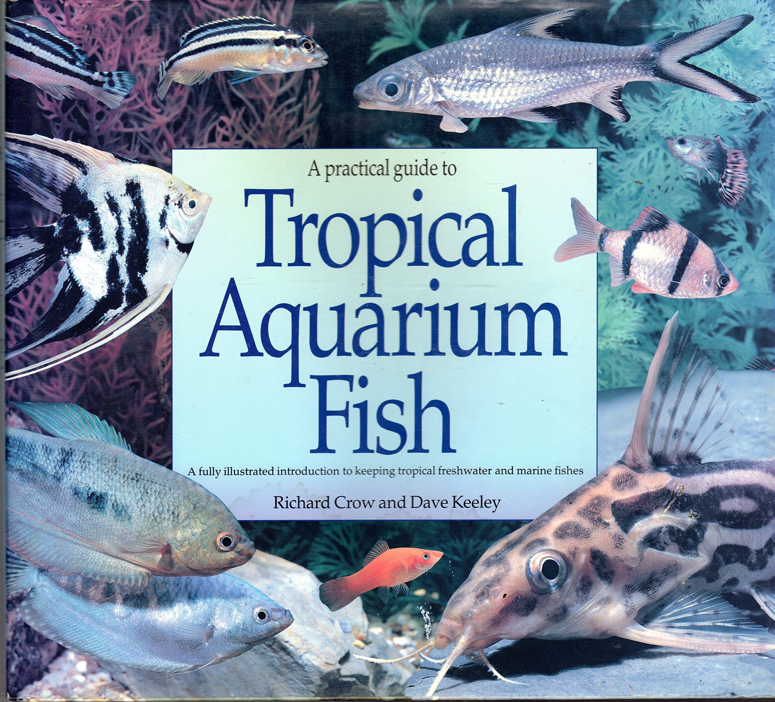 A Practical Guide to Tropical Aquarium Fish: Crow, Richard, Keeley ...