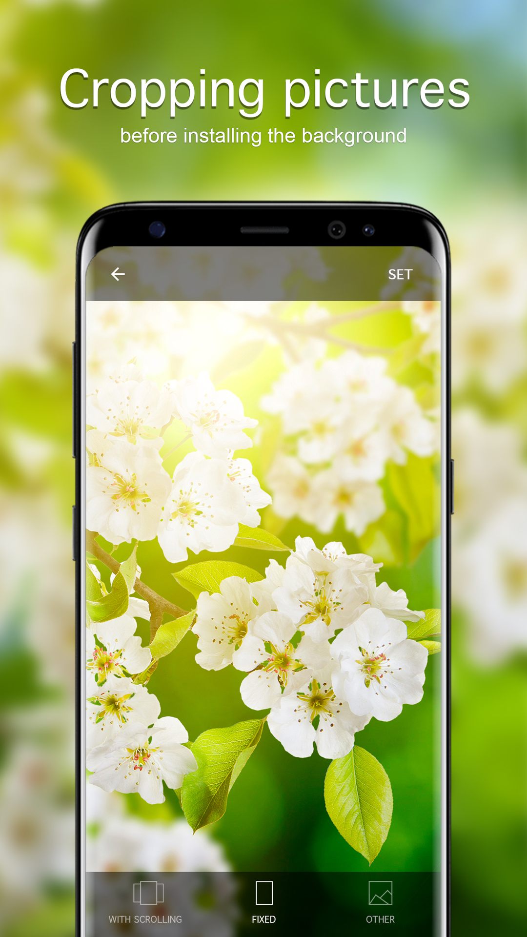 Spring Wallpapers and Backgrounds apps 4k - App on Amazon Appstore
