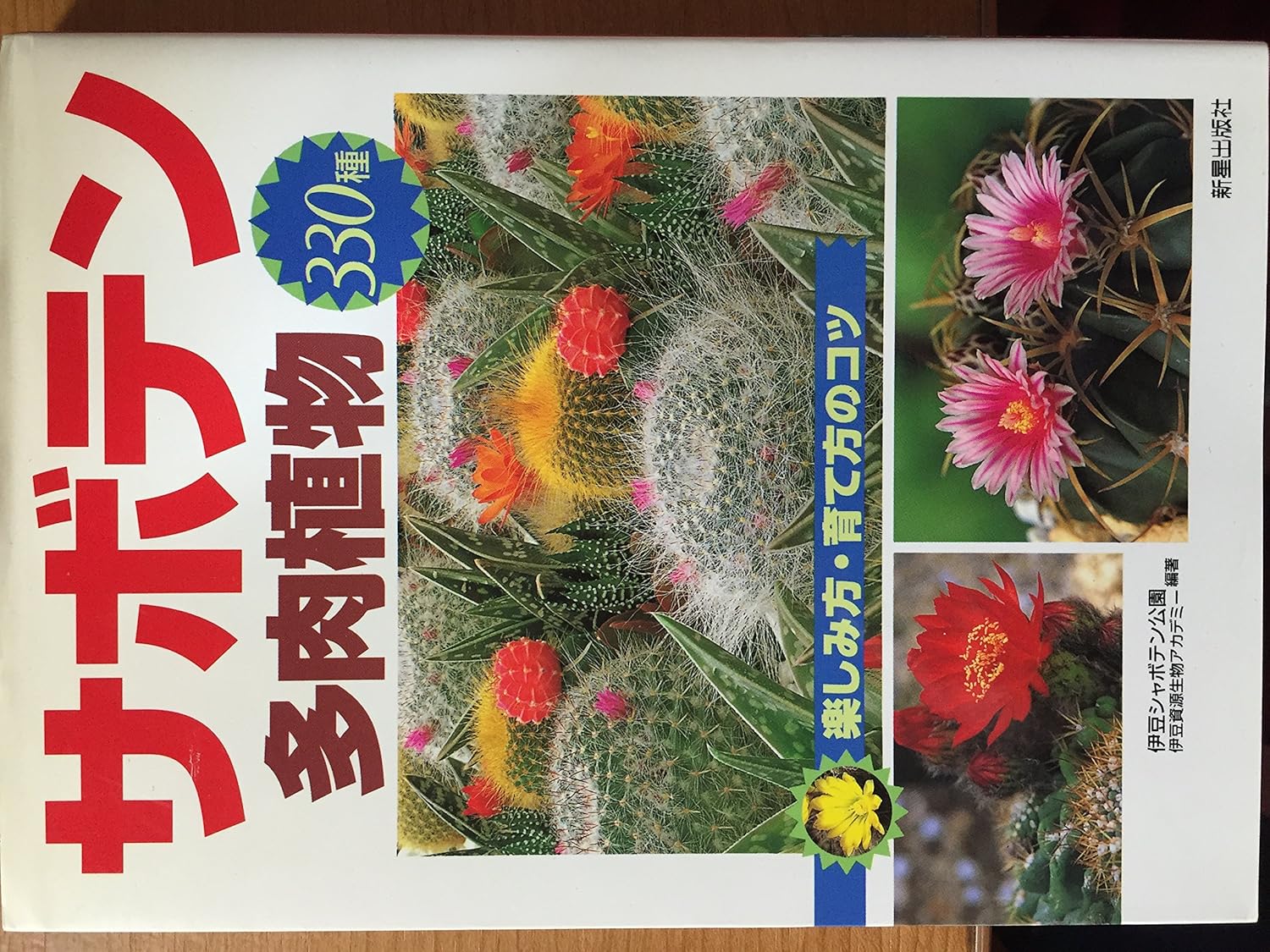Amazon.com: Tips for how to grow , how to enjoy - 330 species cactus ...